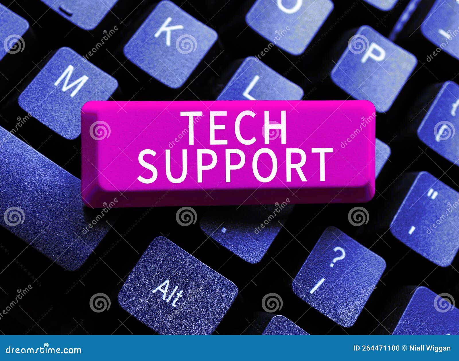 Inspiration Showing Sign Tech Support. Word for Assisting Individuals ...