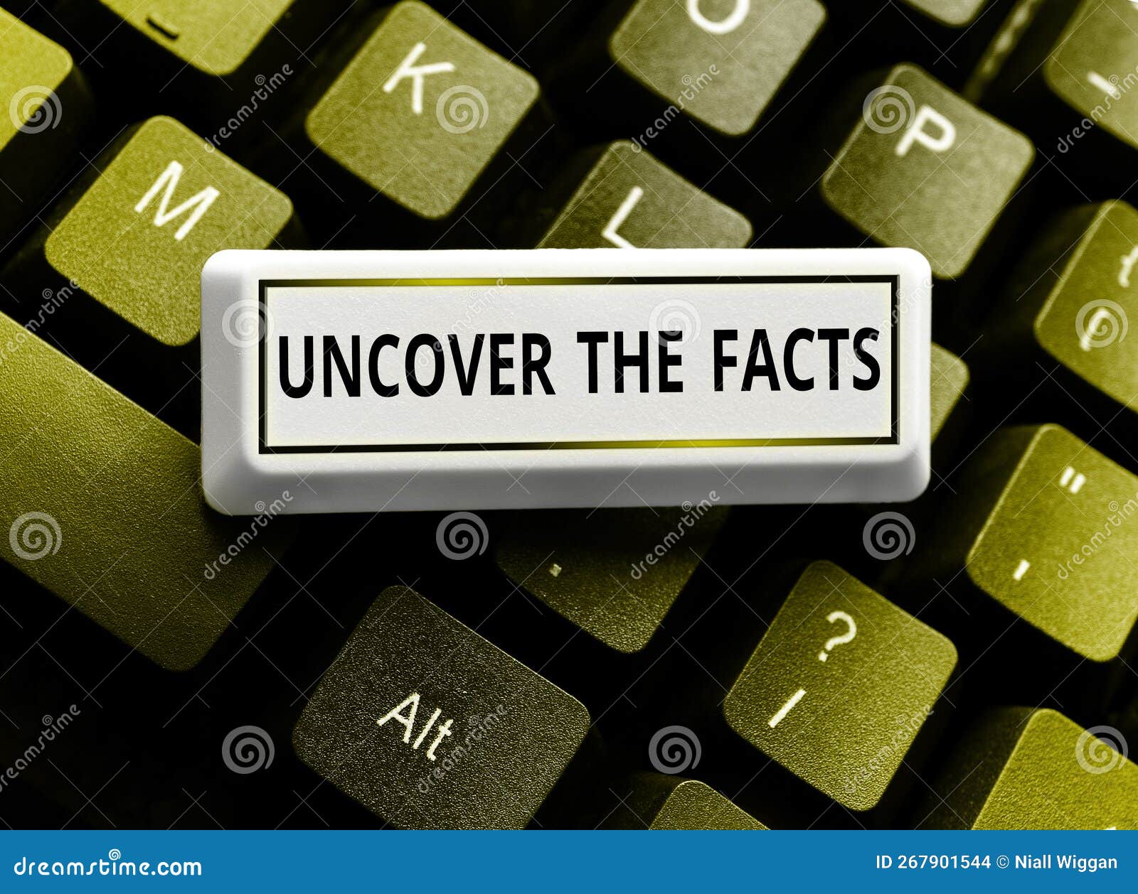 Inspiration Showing Sign Uncover the Facts. Concept Meaning Find the ... Inspiration Showing Sign Uncover the Facts. Concept Meaning Find the ...