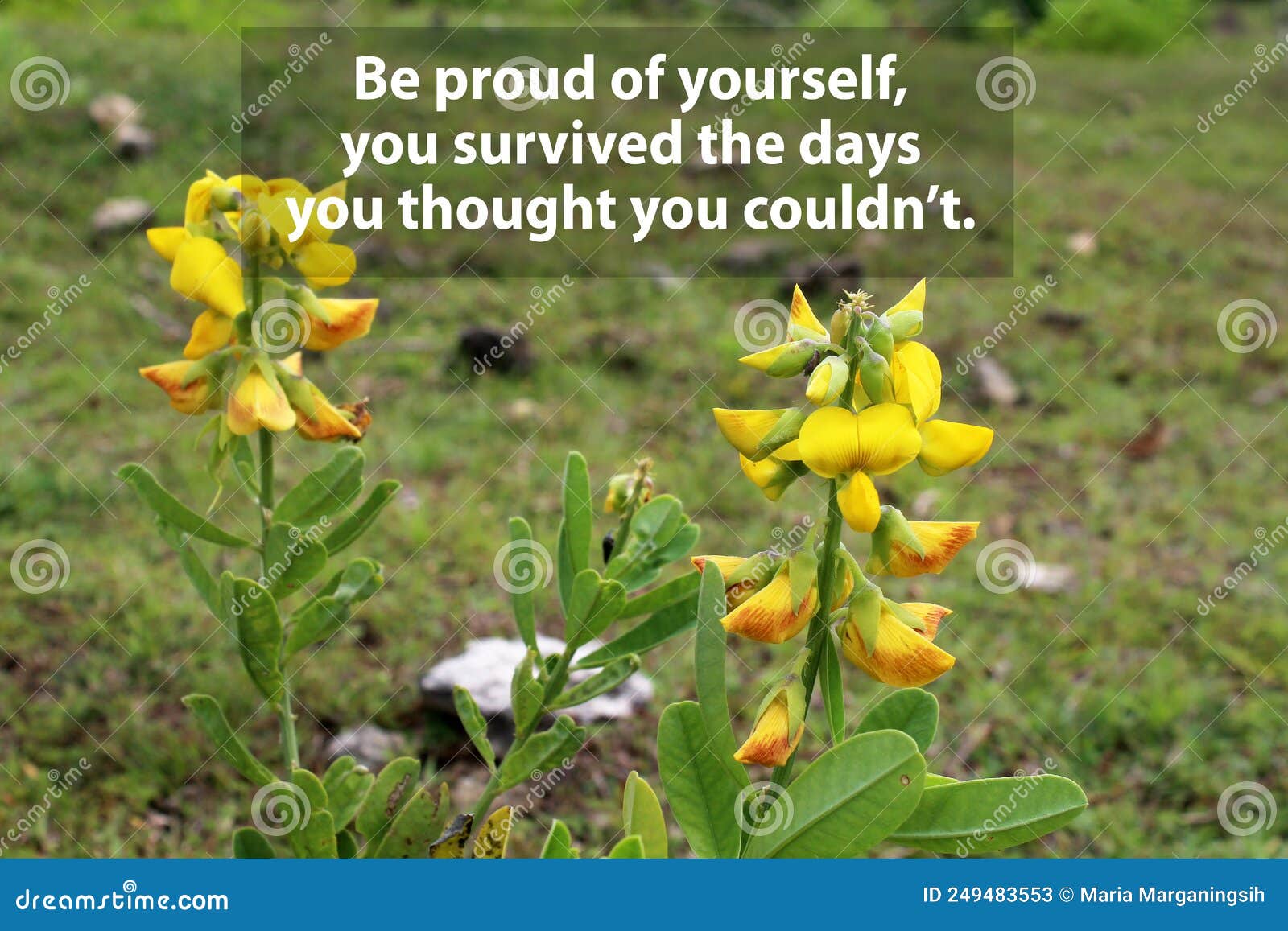 Inspirational Motivational Quote - Be Proud of Yourself, You Survived ... Inspirational Motivational Quote - Be Proud of Yourself, You Survived ...