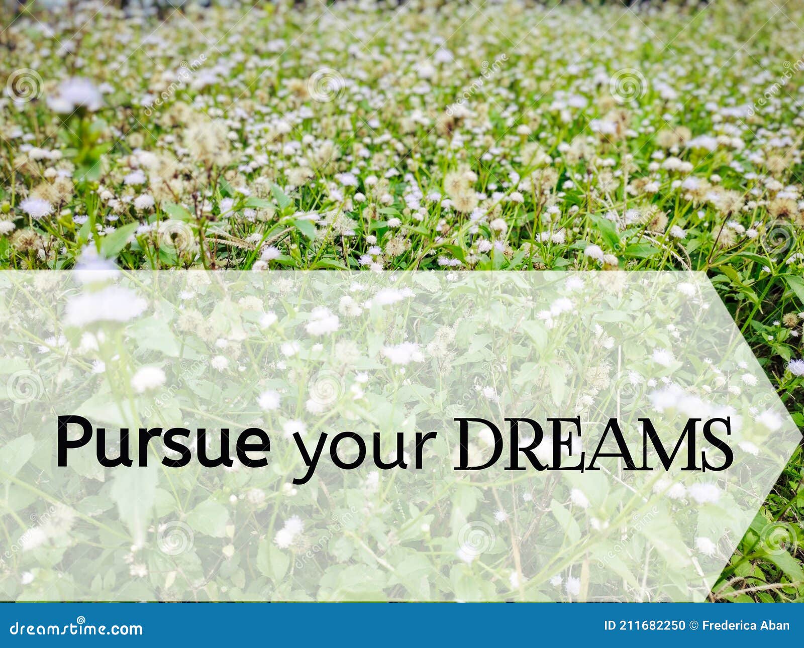 Inspirational and Motivational Quote of Pursue Your Dream with Green ... Inspirational and Motivational Quote of Pursue Your Dream with Green ...