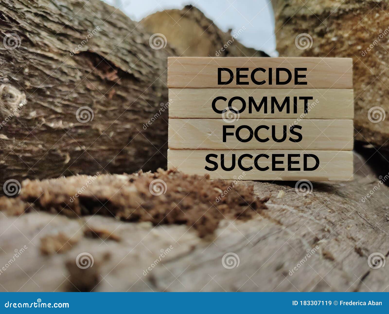 Inspirational and Motivational Words of Decide Commit Focus Succeed on ...
