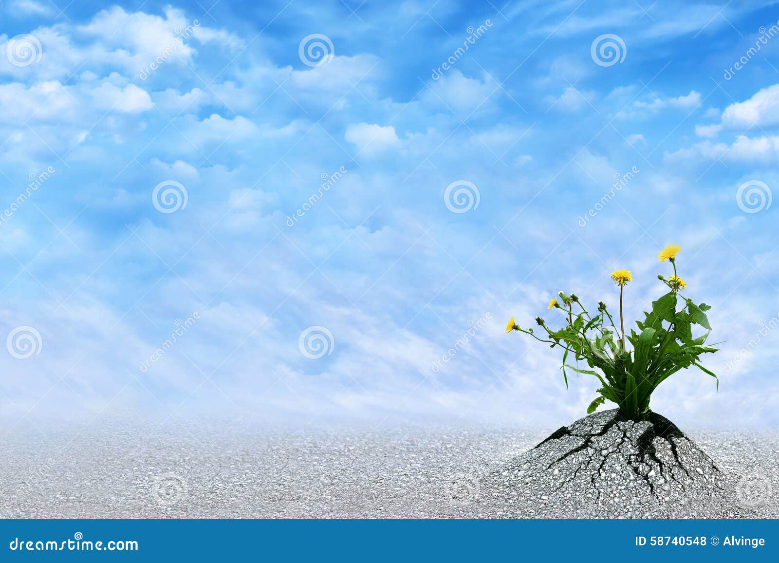 Inspirational Presentation stock photo. Image of endurance - 58740548