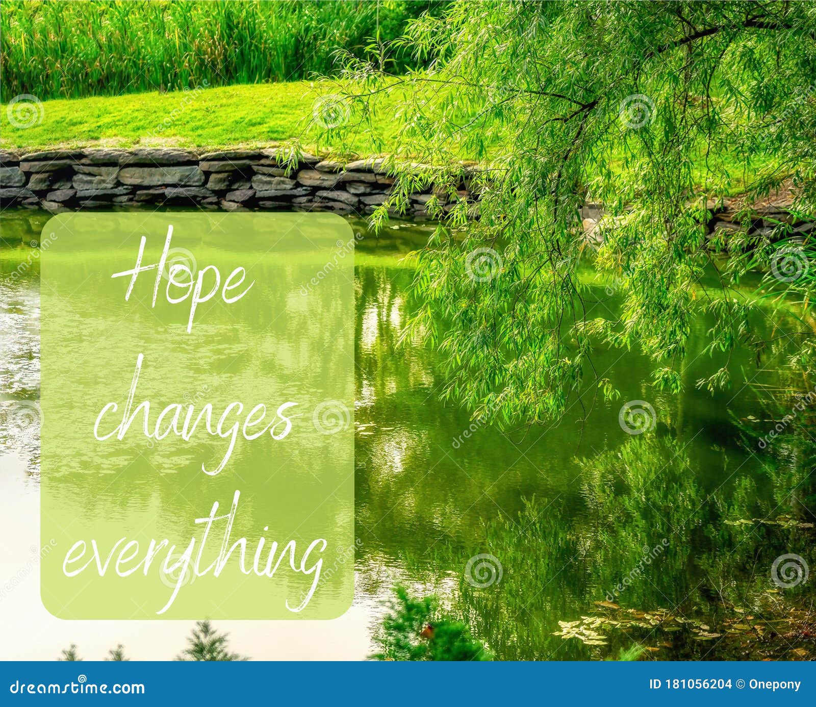 Scathing Pictures Of Hope And Change