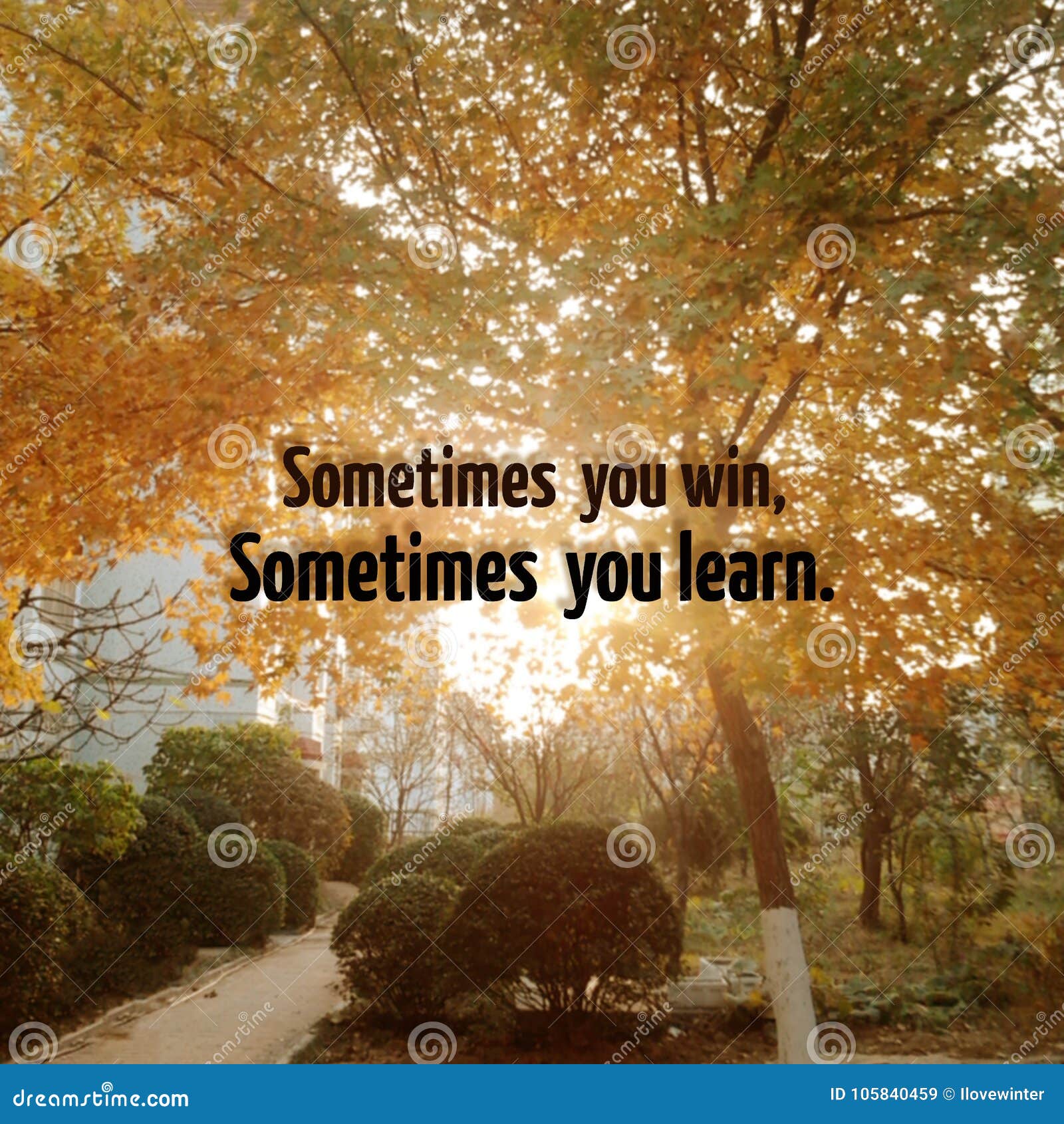 Inspirational Quote`Sometimes You Win, Sometimes You Learn.` Stock ...