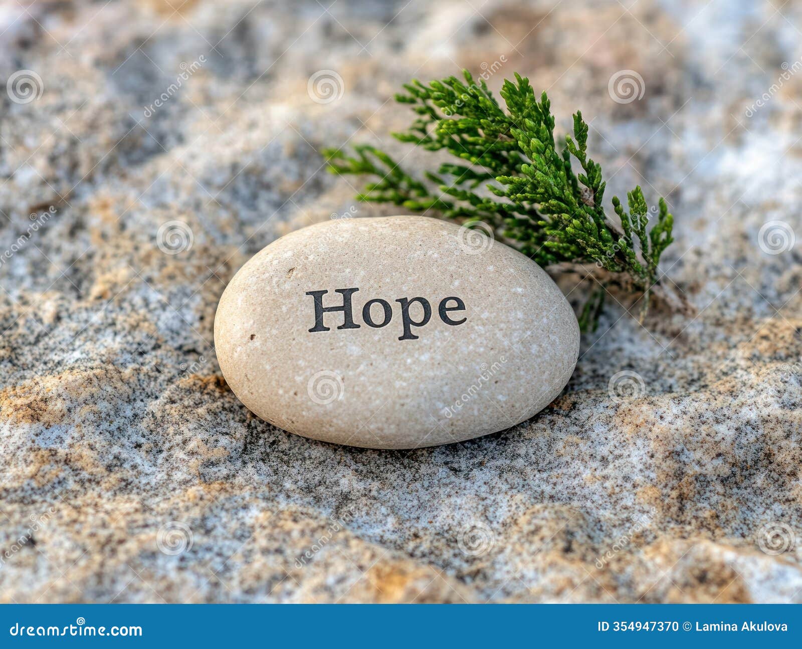 Inspirational Stone with Hope Engraving and Natural Elements for ...