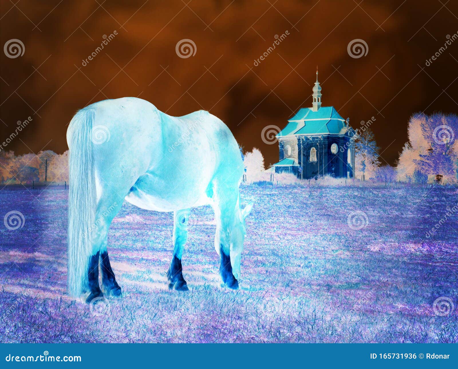 Inspirative Picture of Eating Pony in Pasture Stock Photo - Image of ...