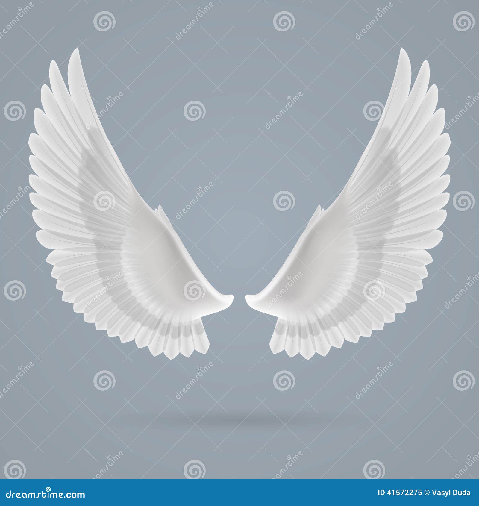 Inspire as asas ilustração do vetor. Ilustração de objetos - 41572275