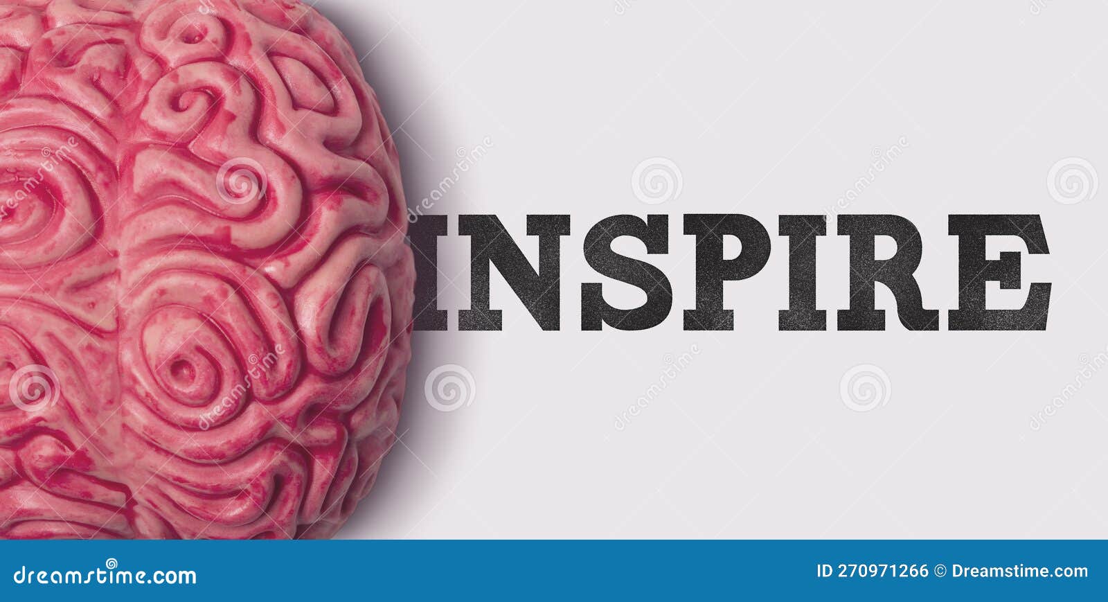 Inspire Word Next To a Human Brain Model Stock Photo - Image of pink ...