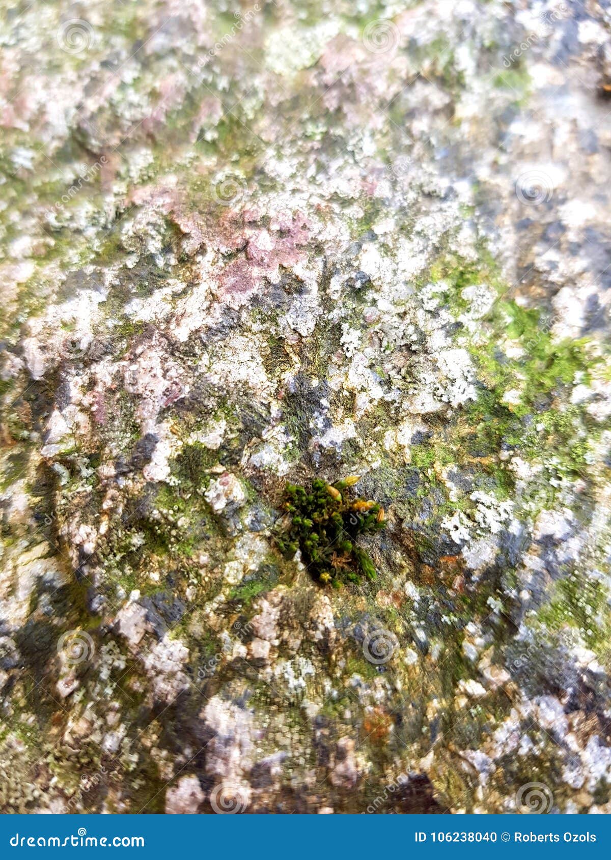 Inspiring colours stock photo. Image of colours, amazing - 106238040