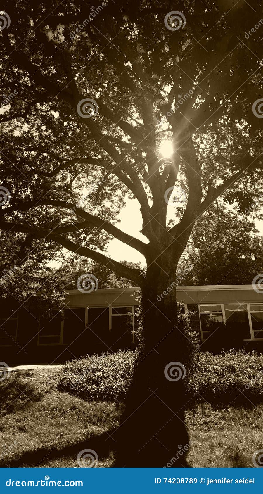 Inspiring evening stock image. Image of shadow, sunshine - 74208789