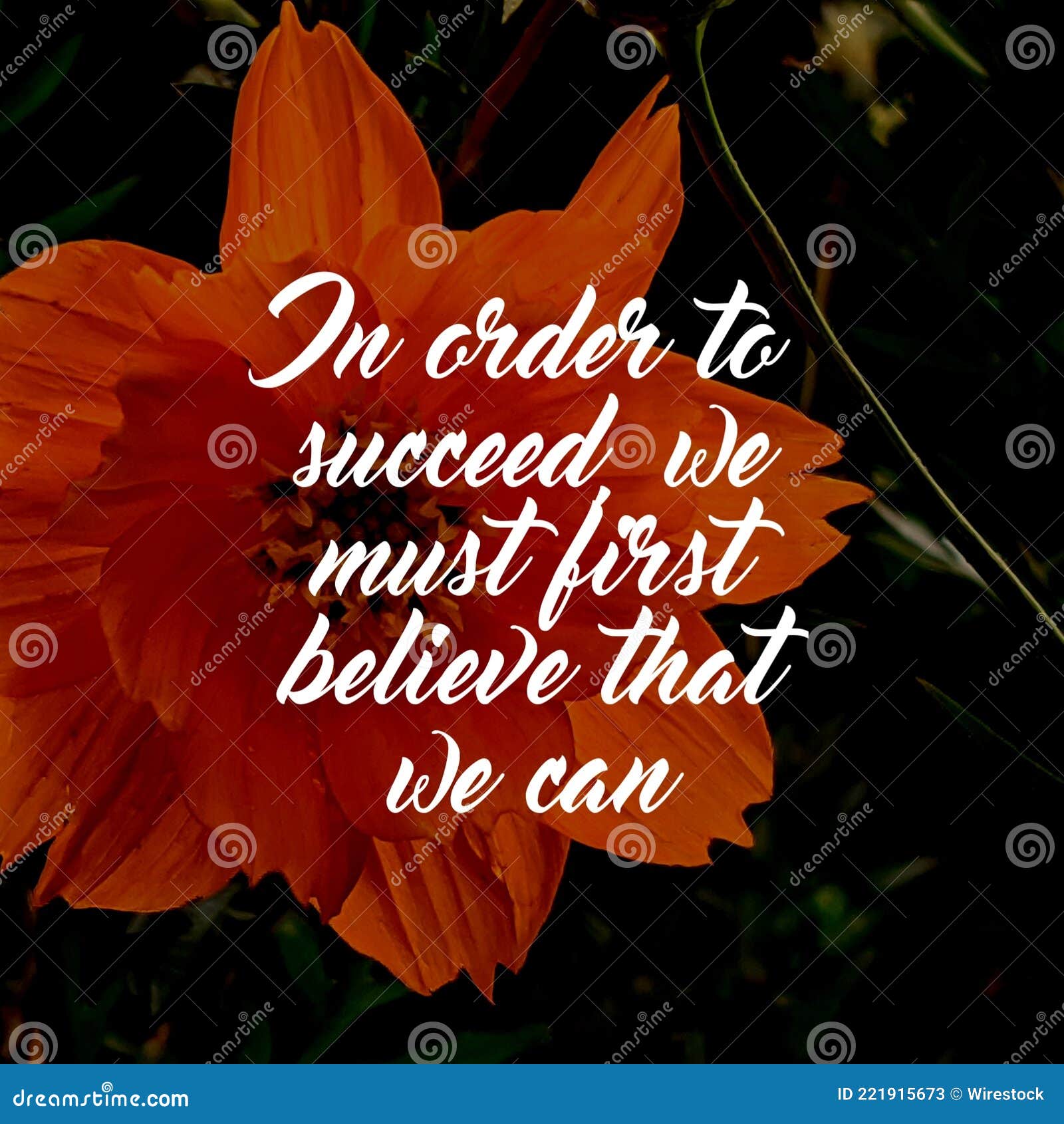 Inspiring Quotation with Fancy Lettering Stock Image - Image of believe ...