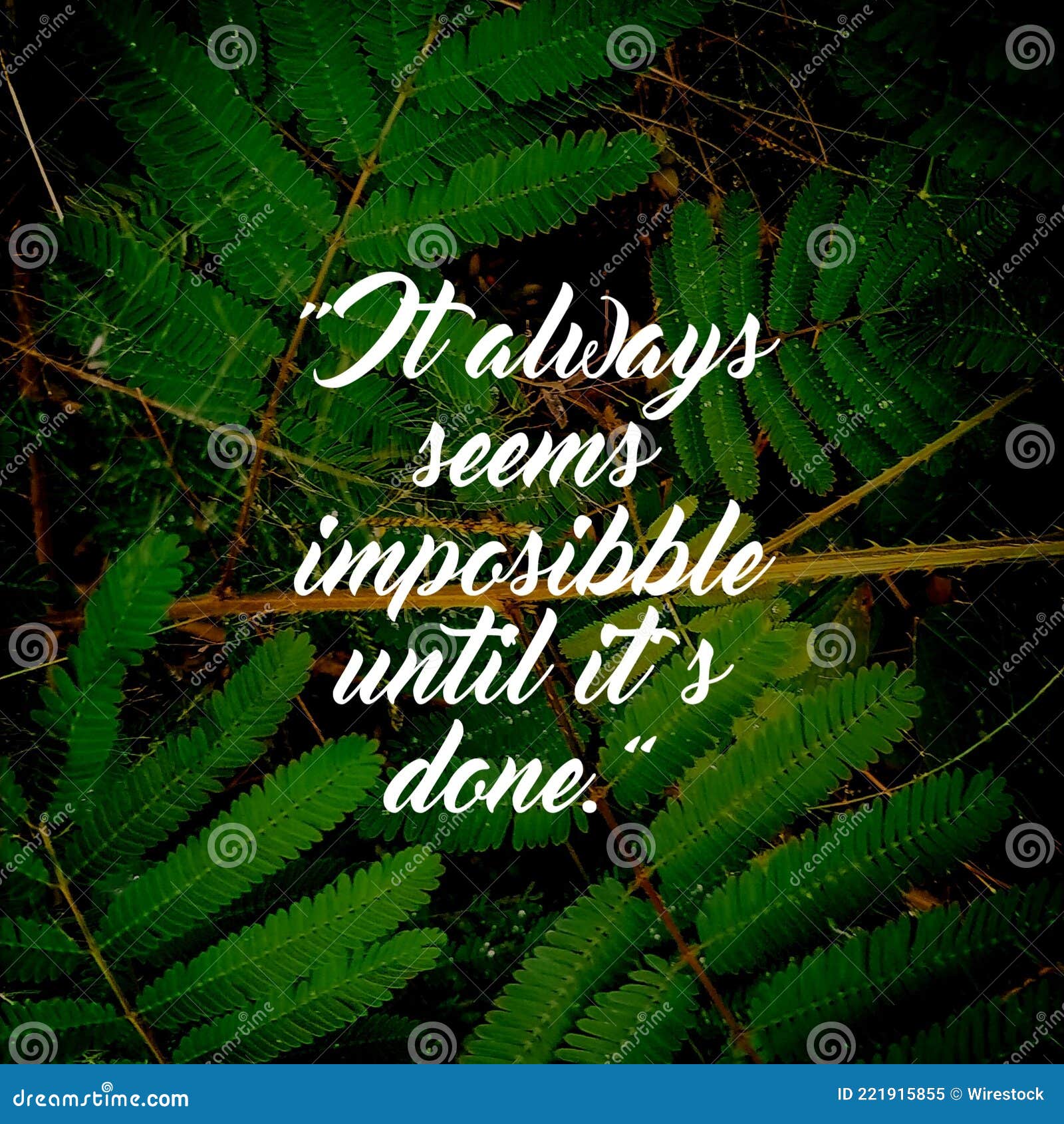 Inspiring Quotation with Fancy Lettering Stock Image - Image of design ...