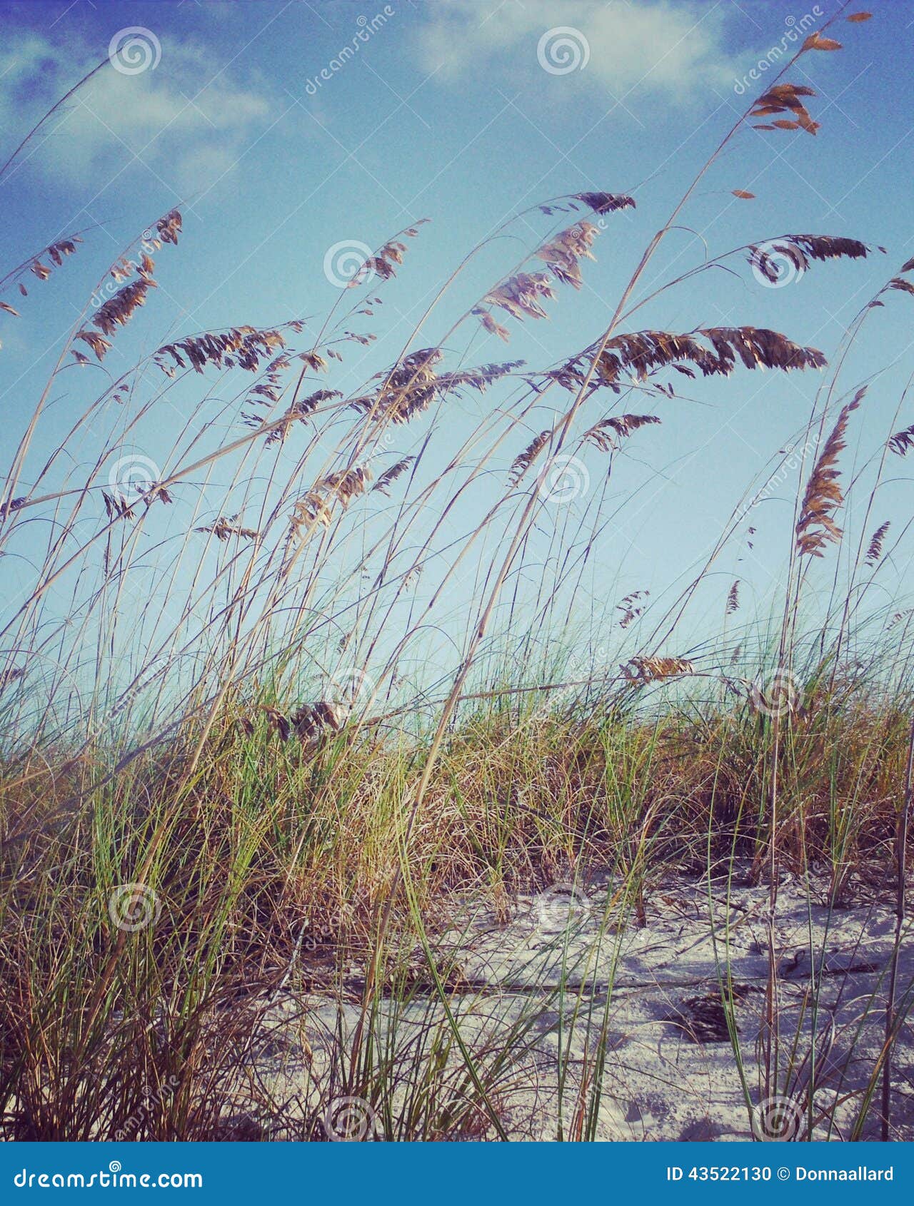 Instagram of Inspirational Beach Scene I Stock Photo - Image of outoors ...