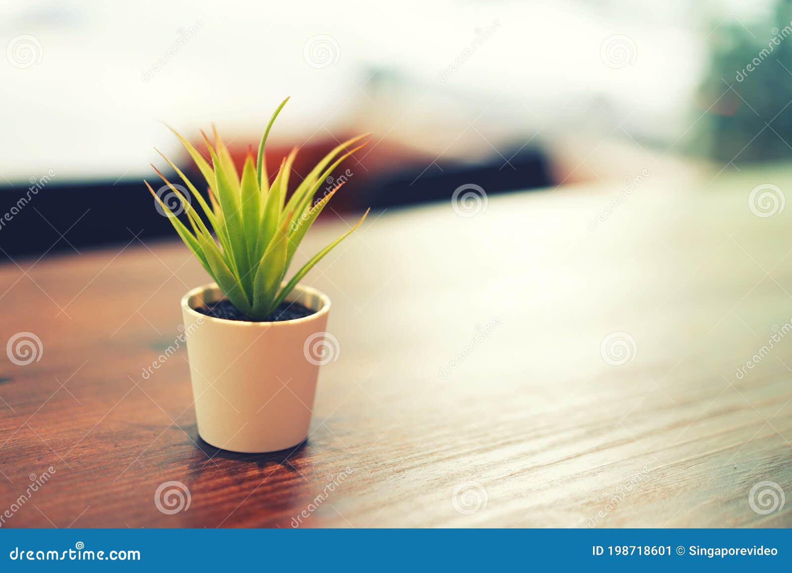 Picture of a Single Plant on a Table of a Co-working Space Stock Image ...