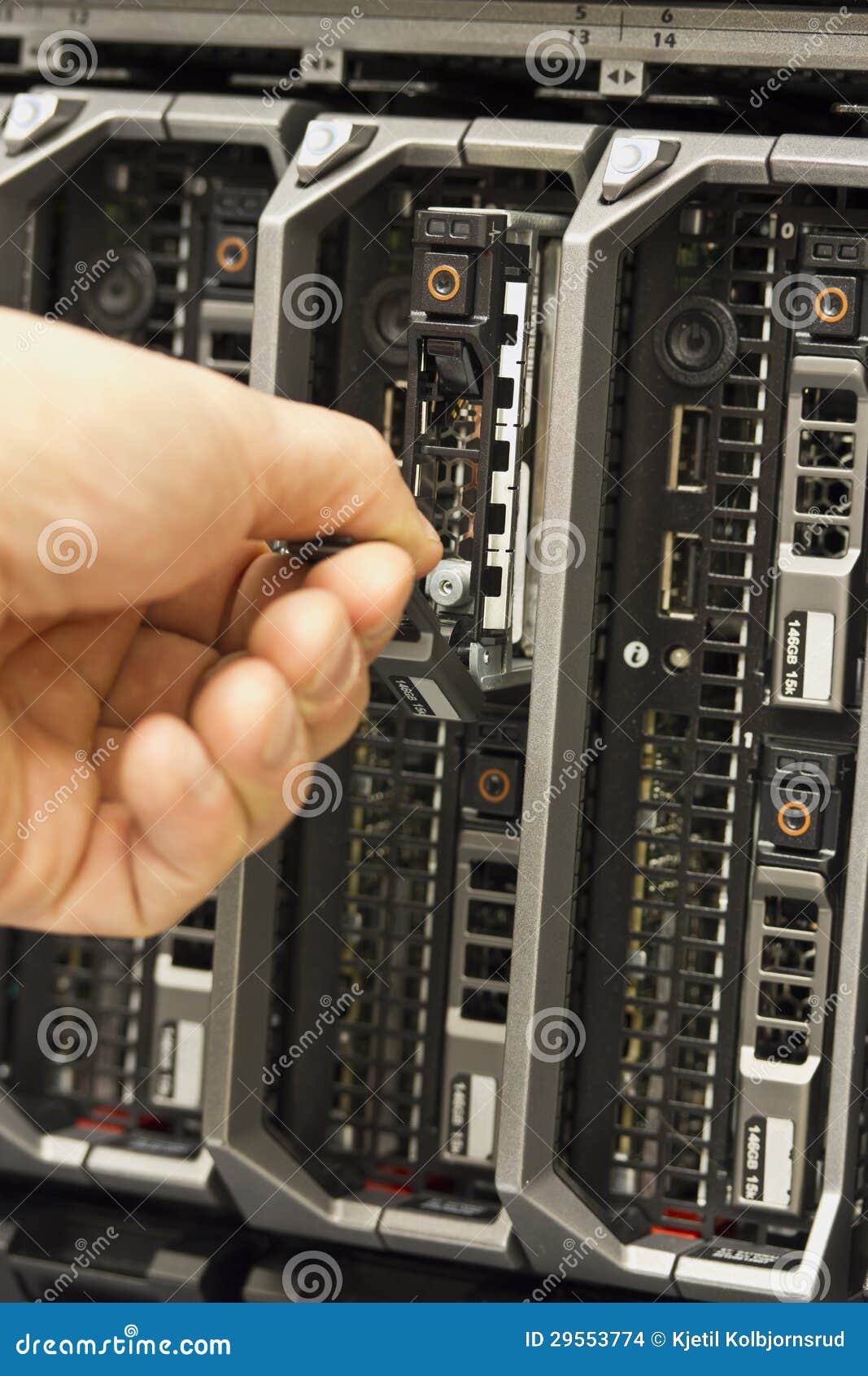 Install Server hard drive stock photo. Image of support - 29553774