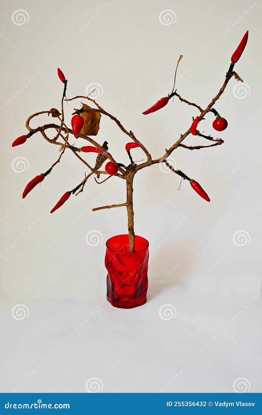 Installation Bare Withered Tree with Chili Pepper in Red Syakan. a ...