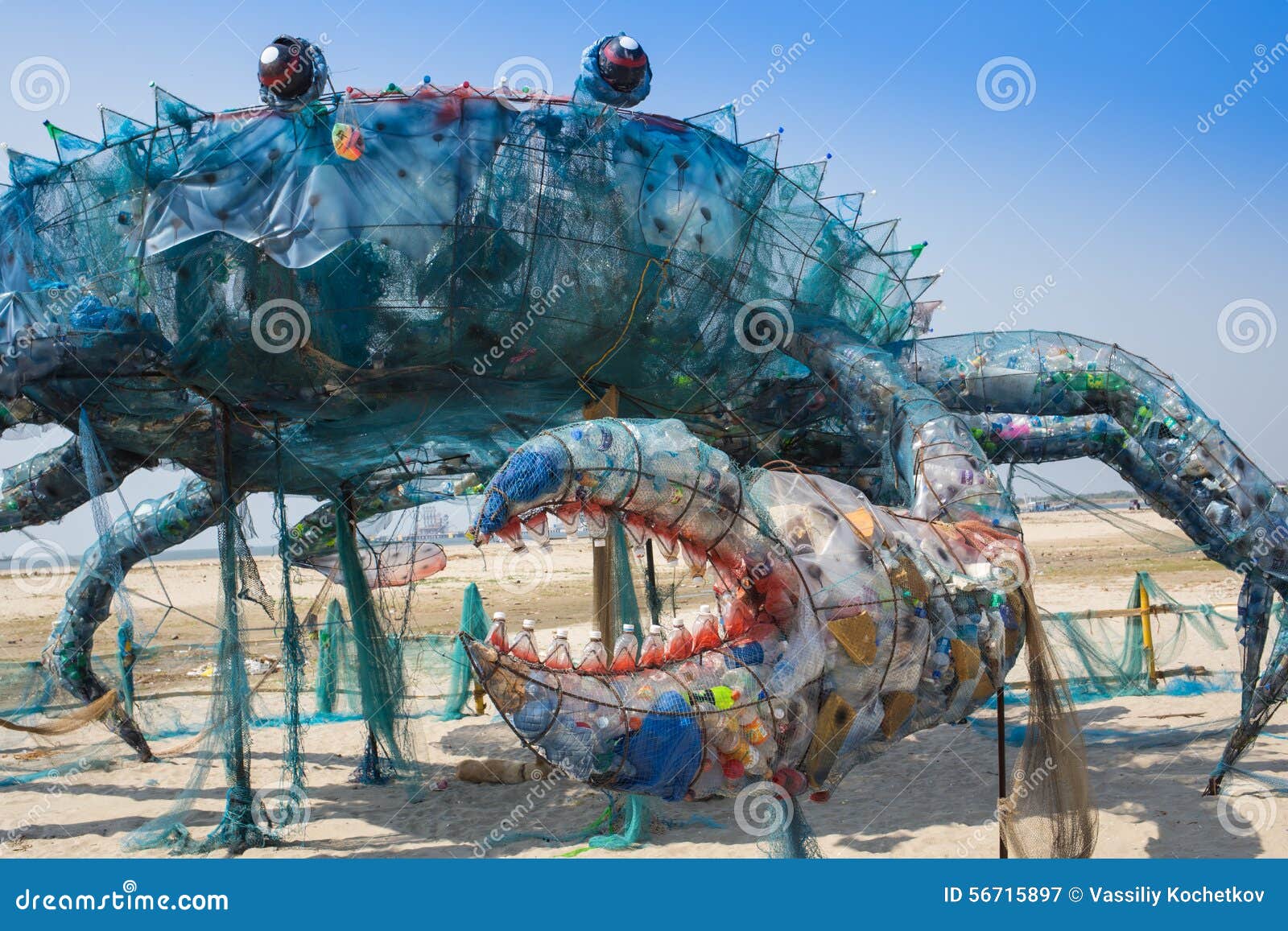 Installation on the beach stock image. Image of carapace - 56715897