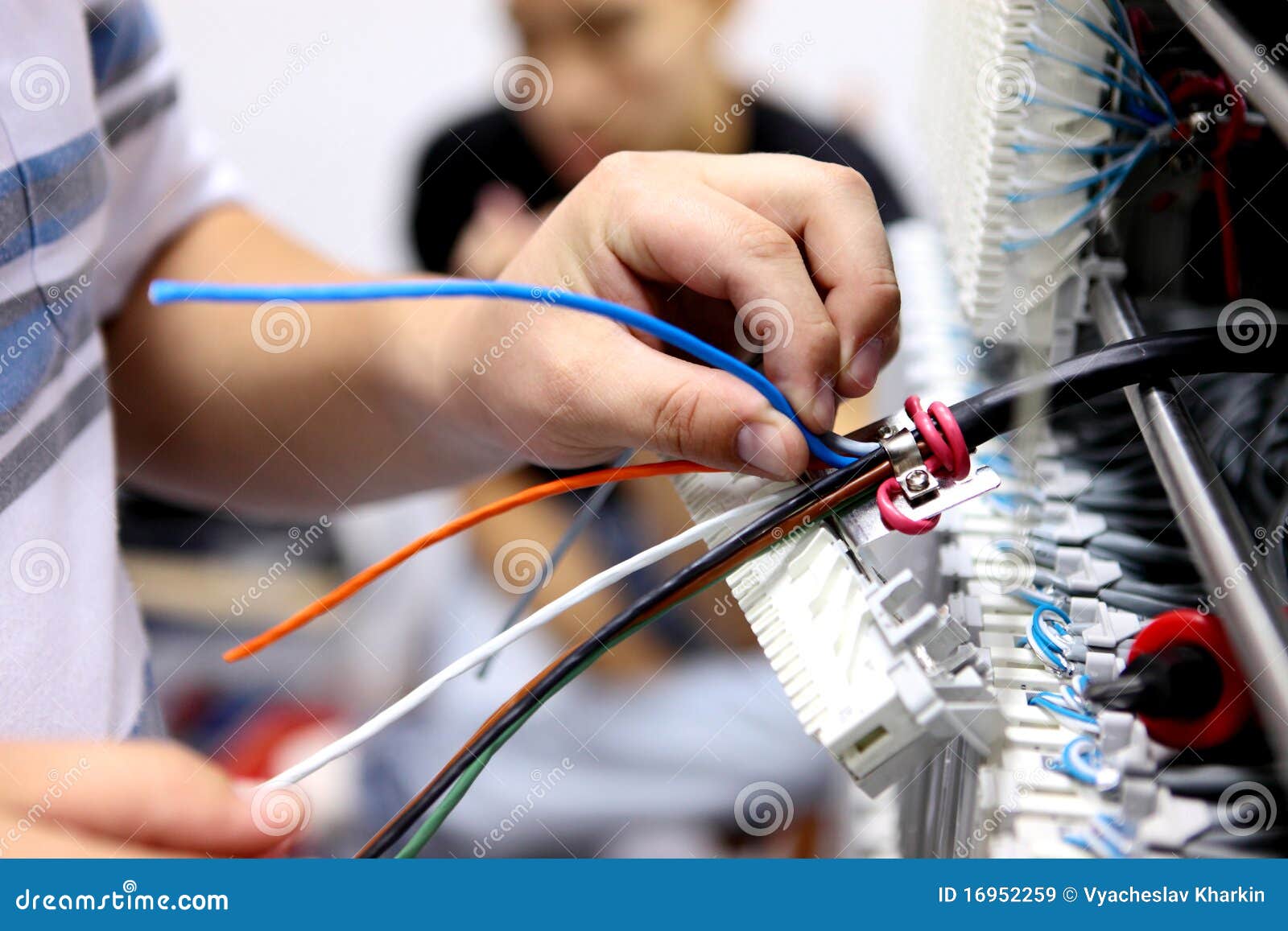Installation a Cable of Communication Stock Image - Image of vein ...
