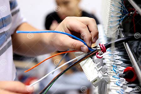 Installation a Cable of Communication Stock Image - Image of vein ...