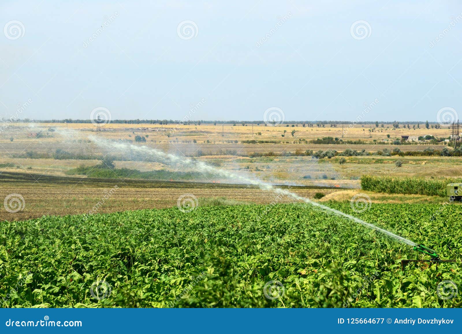 Installation of Irrigation System in the Field, Water Sprinkler in ...