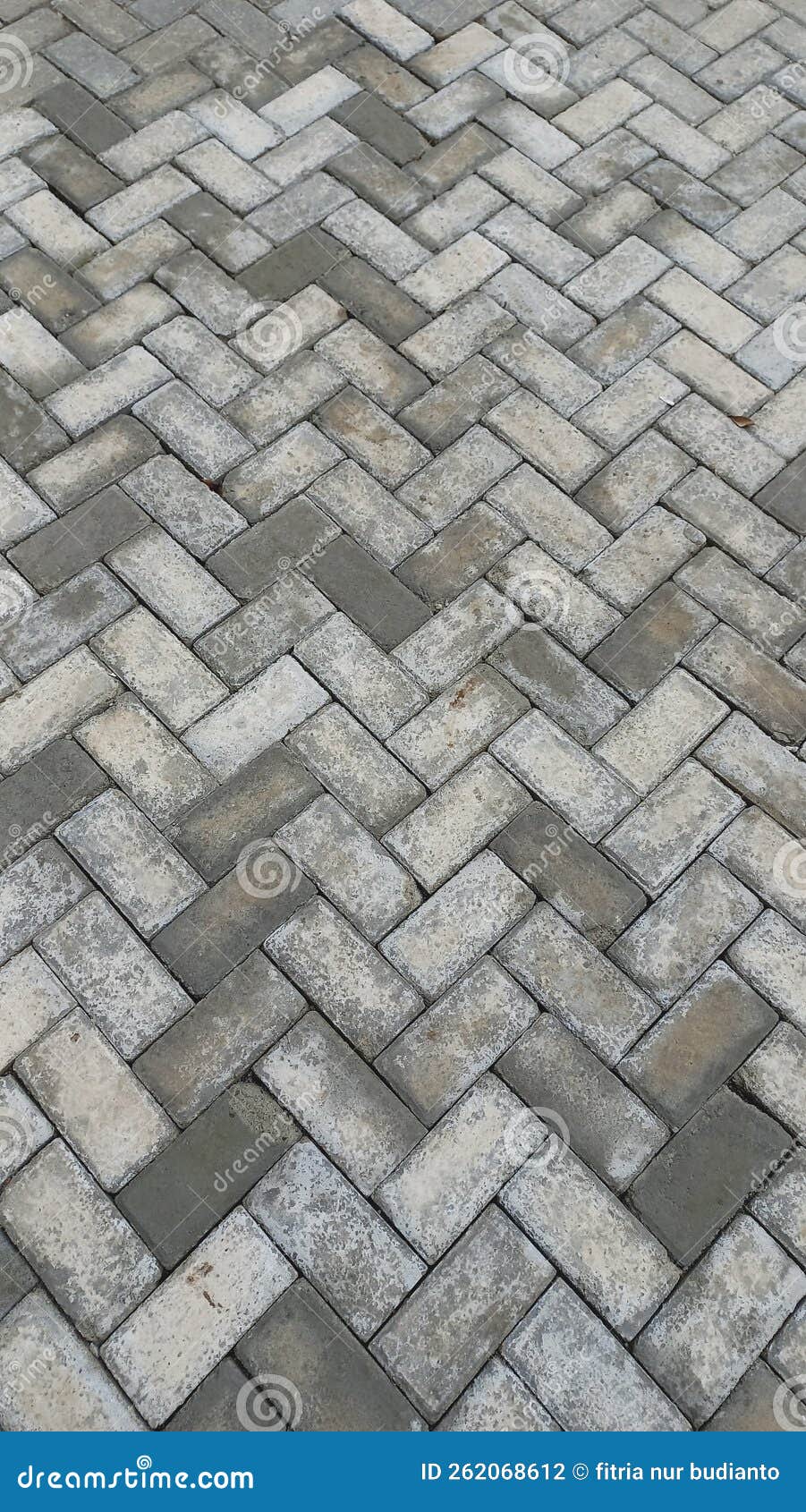Installation of Manual Block Pavers Stock Photo - Image of amatir ...