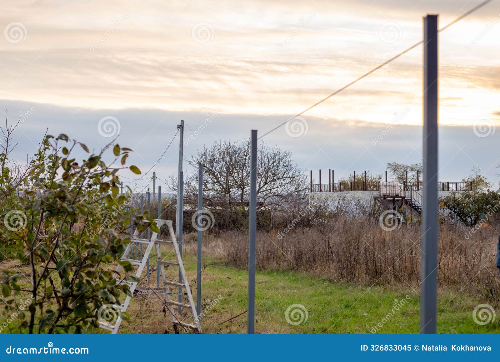 Installation of a Metal Profile at the Border of a Garden Plot ...