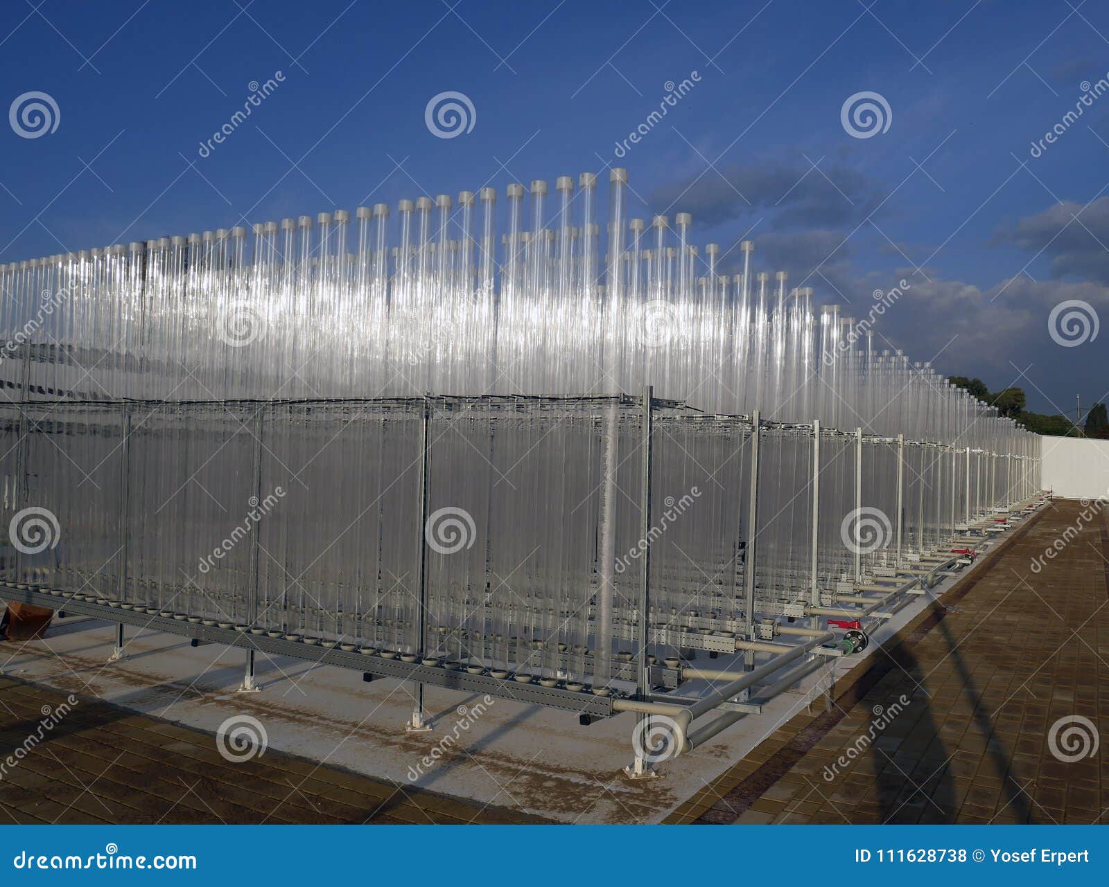 Growing Algae in Small Bioreactors Editorial Stock Photo - Image of ...