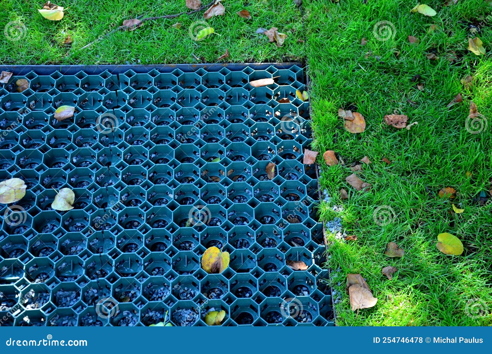 Installation of a Plastic Mat As a Substitute for Lawn. Plastic Stock ...