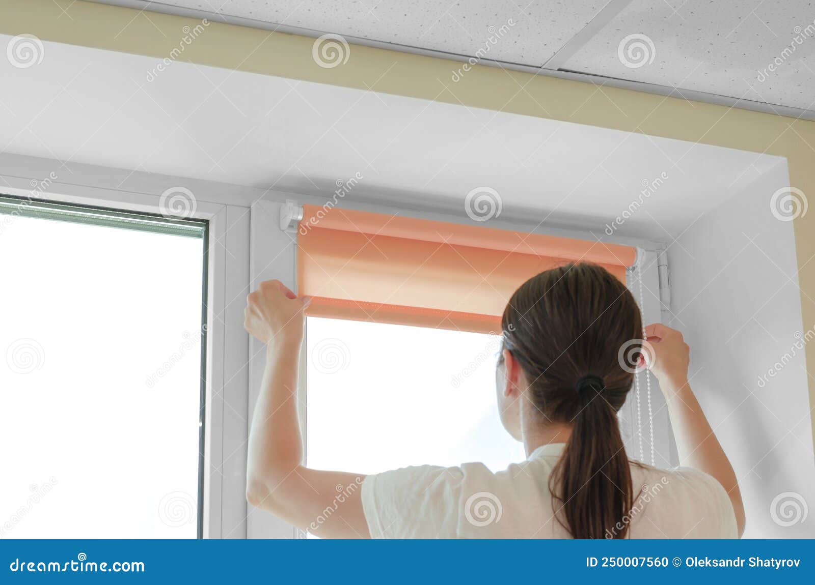 Installation of Roller Blinds. Woman Installs Roller Blinds on the ...