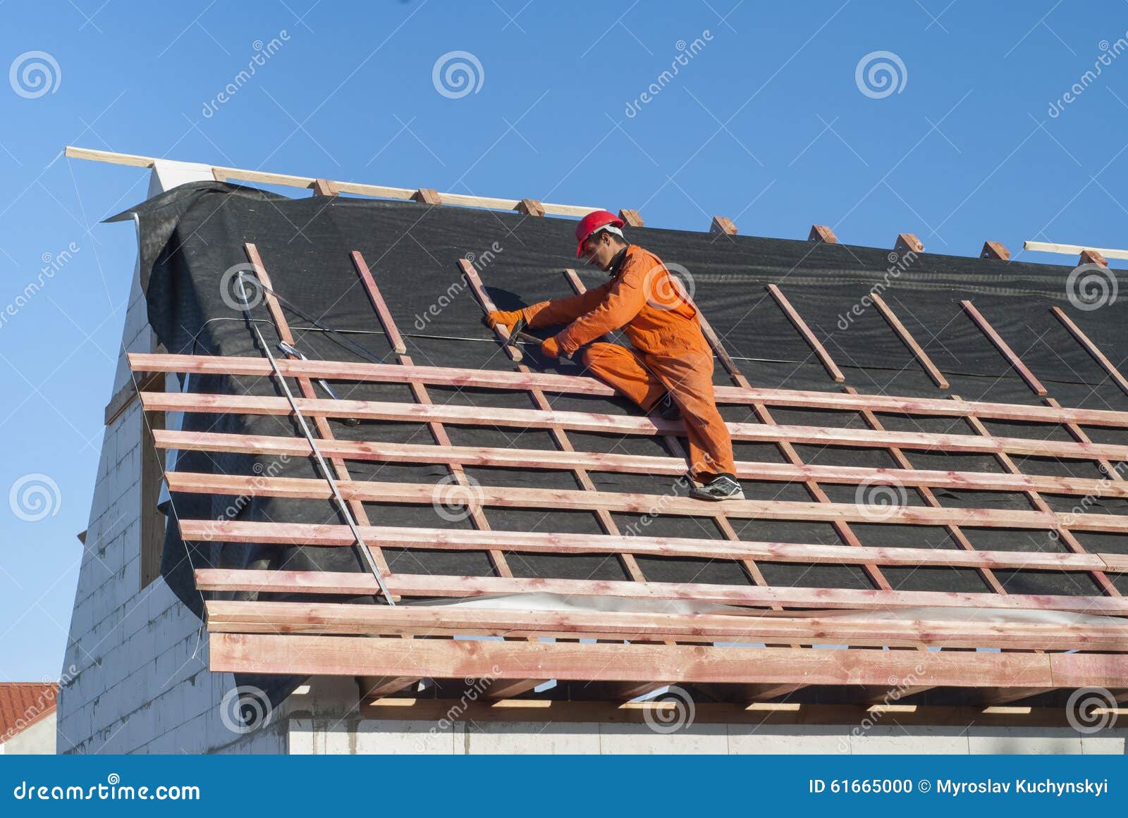 Installation of a roof stock photo. Image of plywood - 61665000
