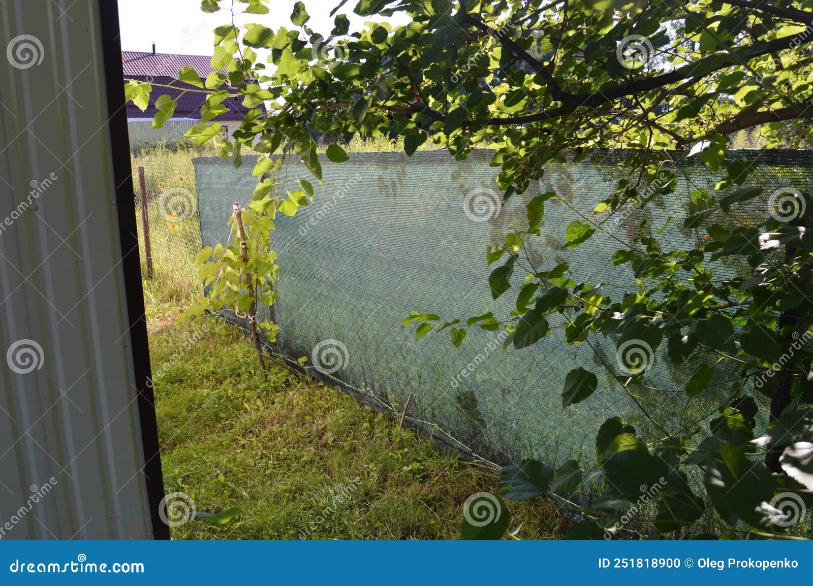 Installation of a Shading Net on a Chain-link Fence Stock Photo - Image ...