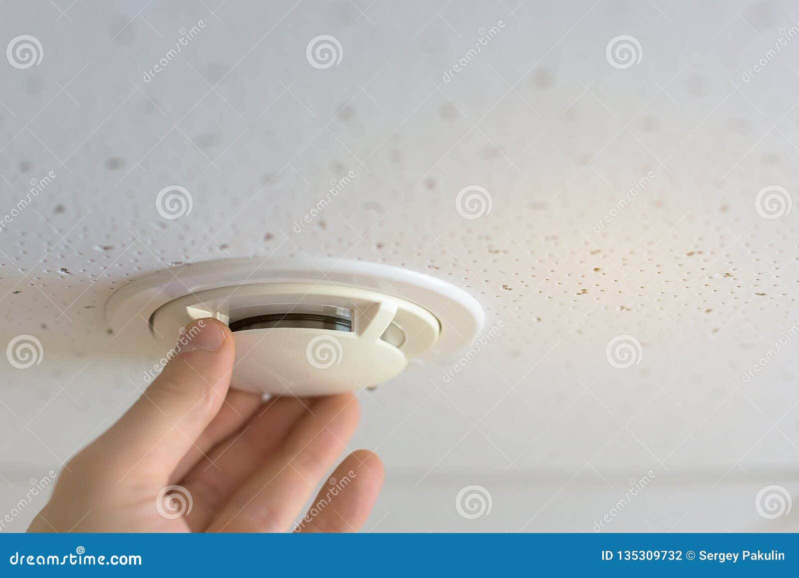 Installation of a Smoke Detector on the Ceiling in the Room. Stock ...