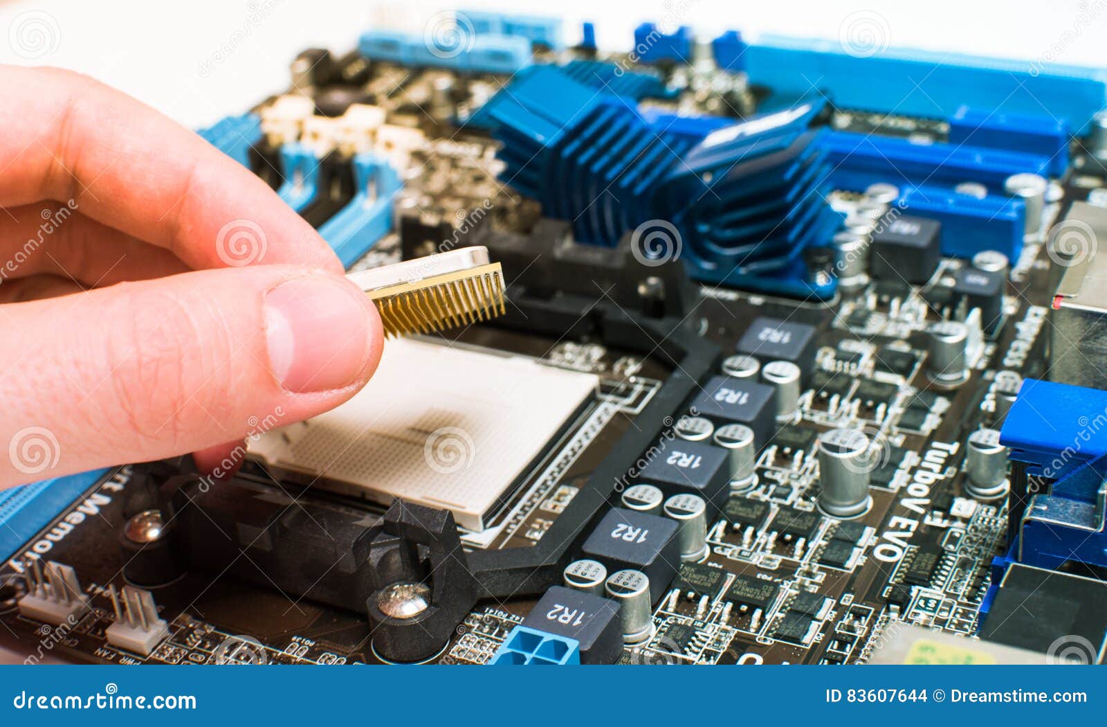 Installierung Der CPU in Das Motherboard Stockfoto - Bild von schaltung ...
