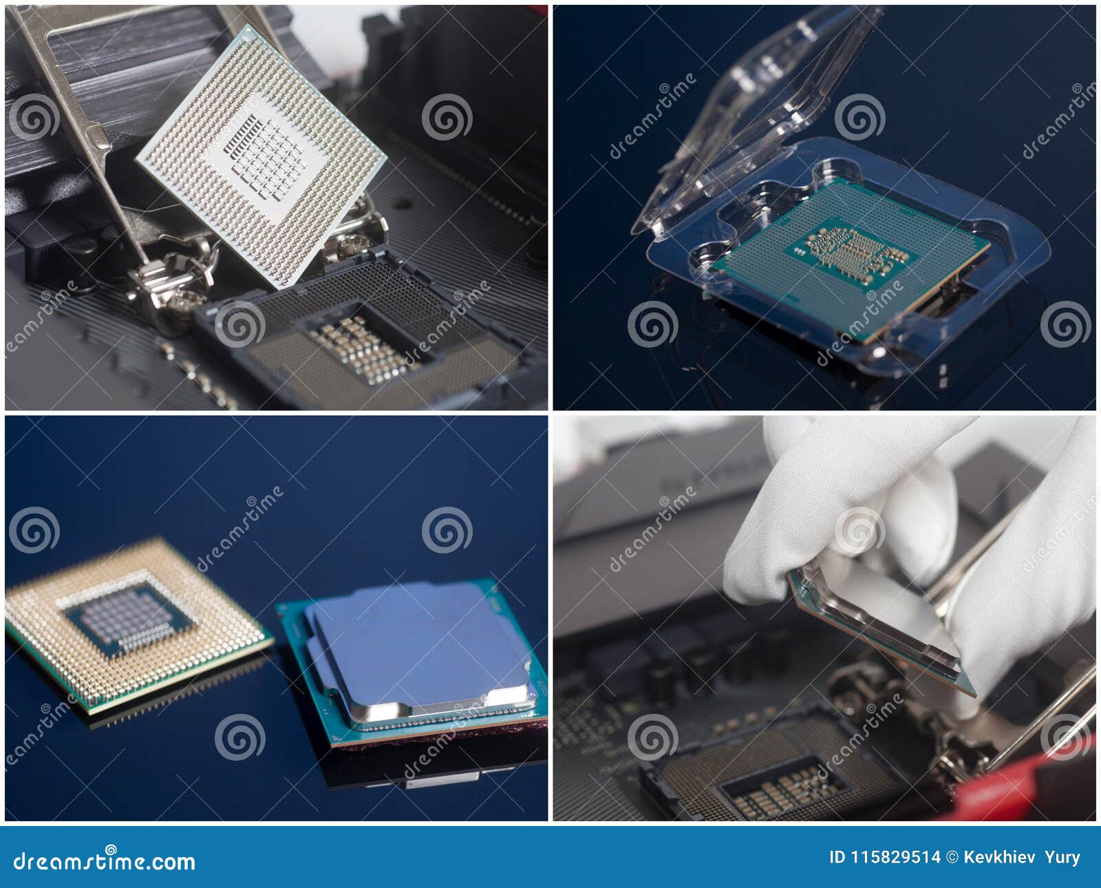 Installing CPU on Motherboard.Computer Upgrade. Stock Photo - Image of ...