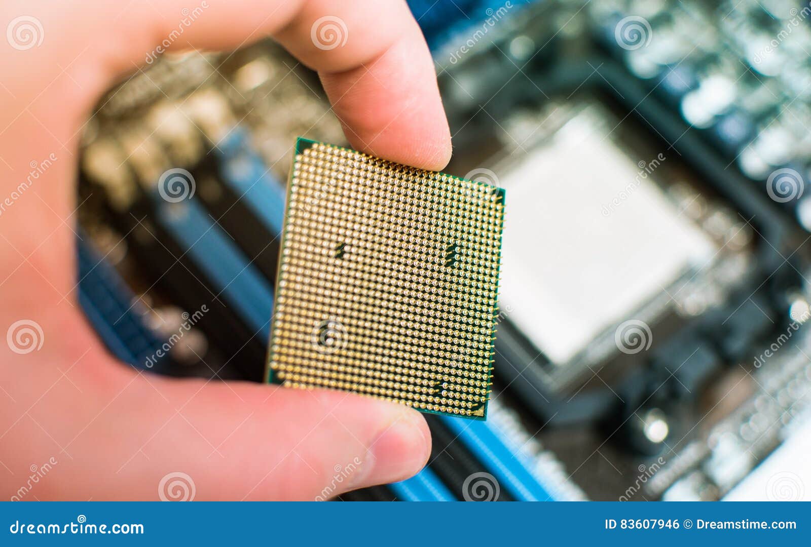 Installing the CPU into the Motherboard Stock Photo - Image of network ...