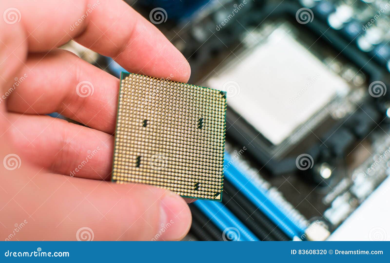 Installing the CPU into the Motherboard Stock Photo - Image of computer ...
