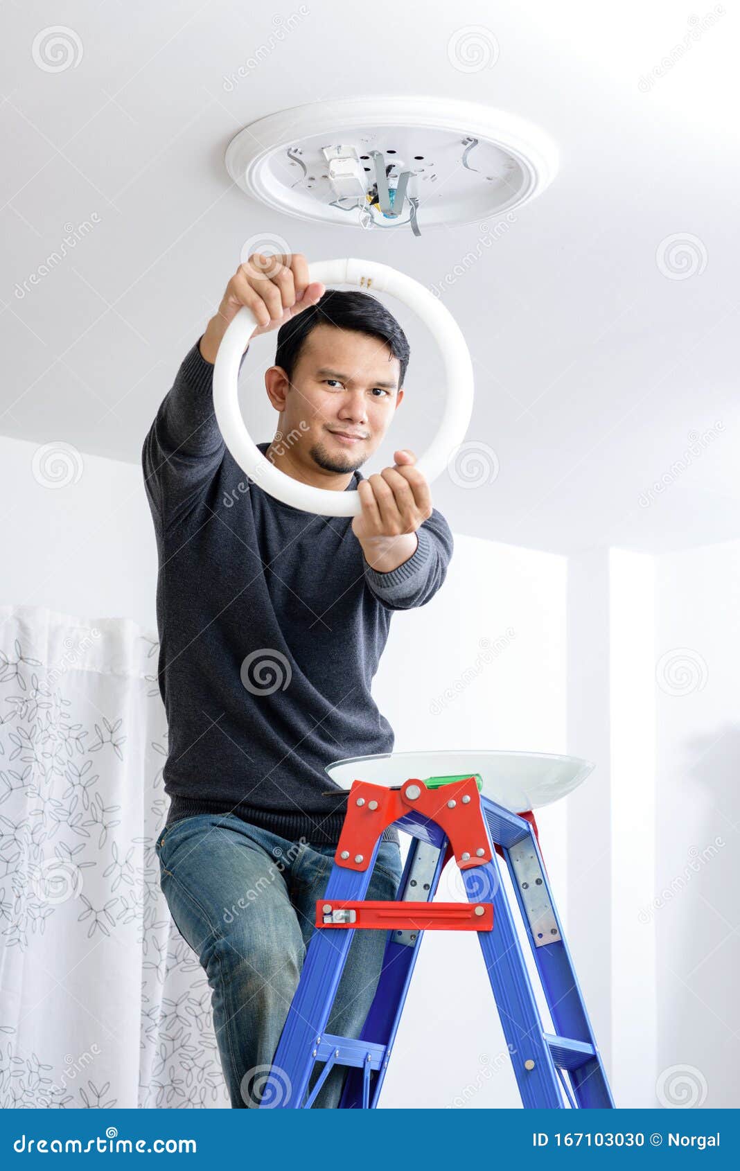 Installing light bulb stock photo. Image of installing - 167103030