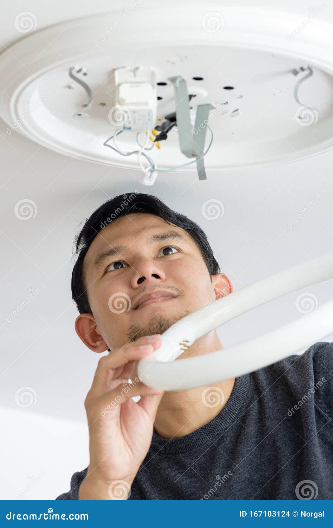 Installing light bulb stock photo. Image of energy, installation ...