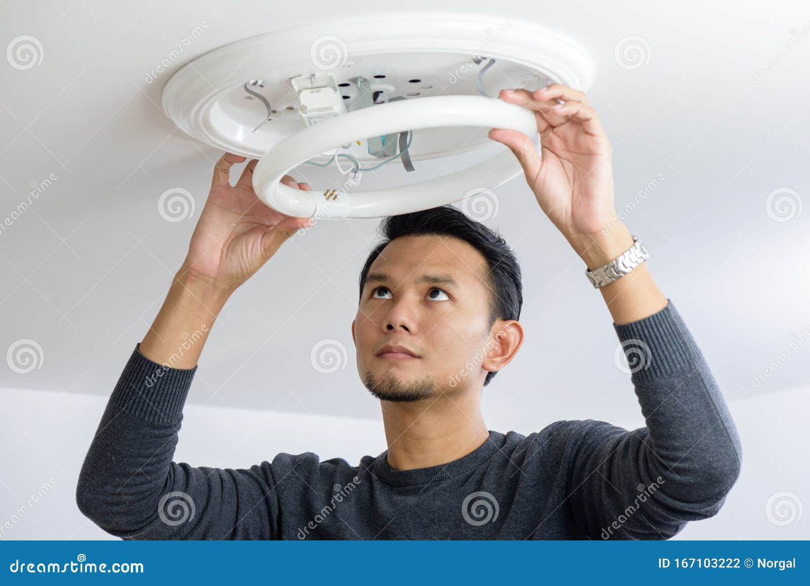 Installing light bulb stock photo. Image of energy, electricity - 167103222