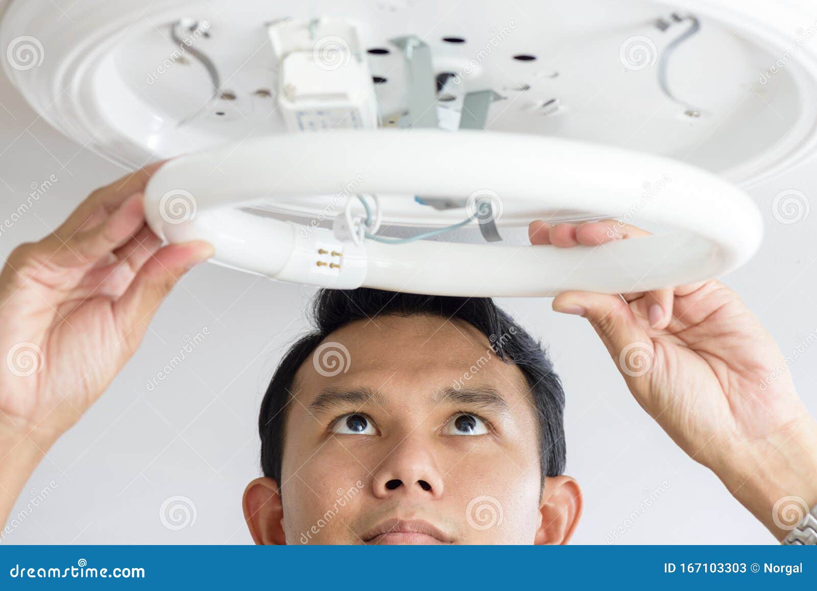 Installing light bulb stock image. Image of occupation - 167103303
