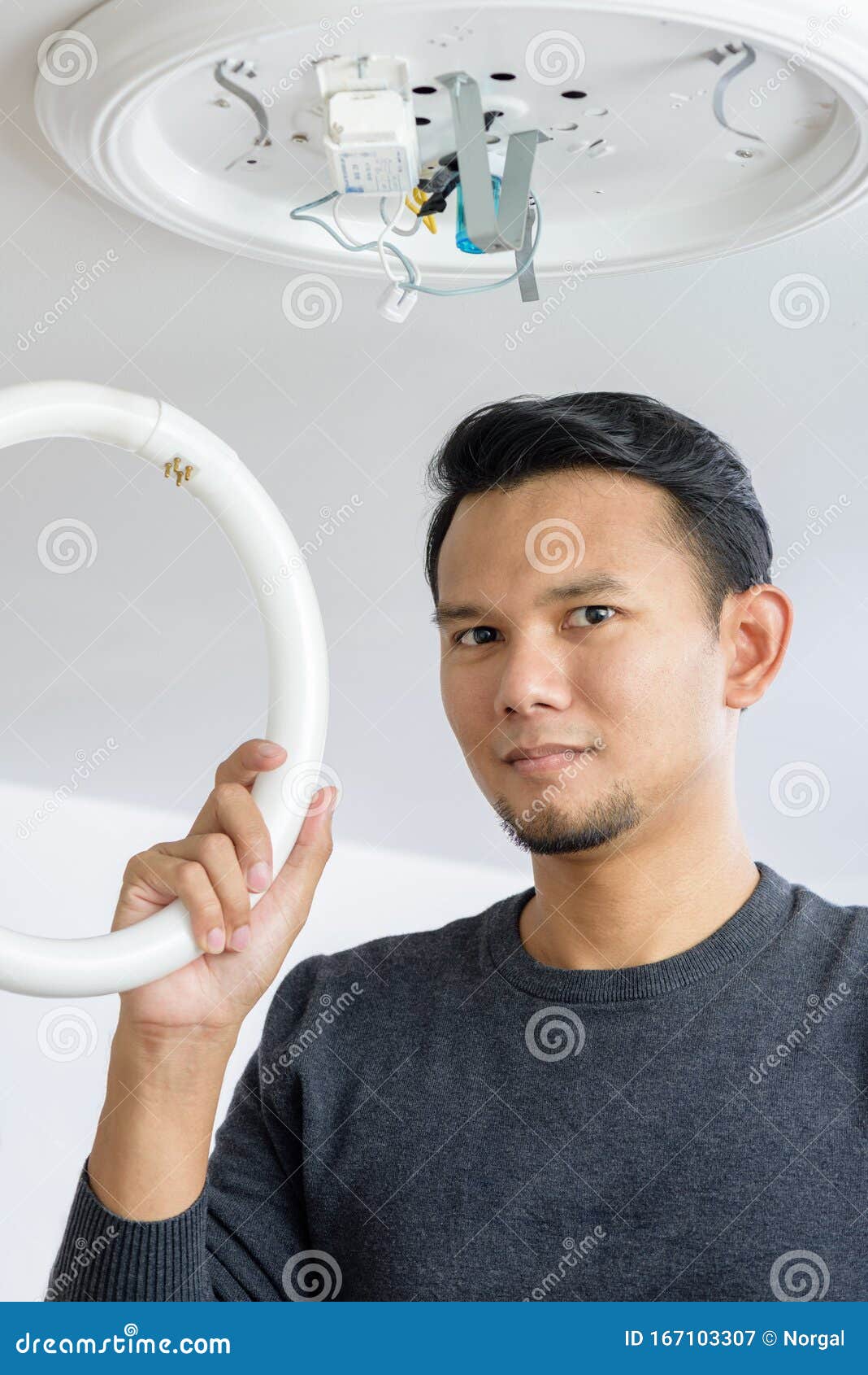 Installing light bulb stock image. Image of home, bulb - 167103307