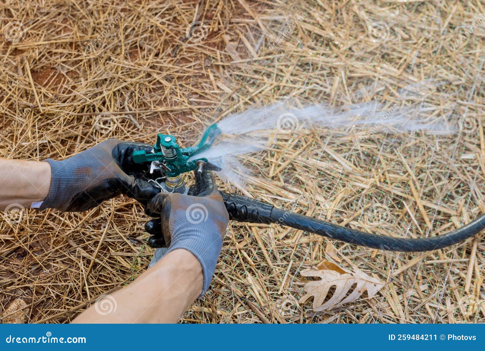 Installing, Maintaining, and Watering a Lawn Sprinkler System by a ...