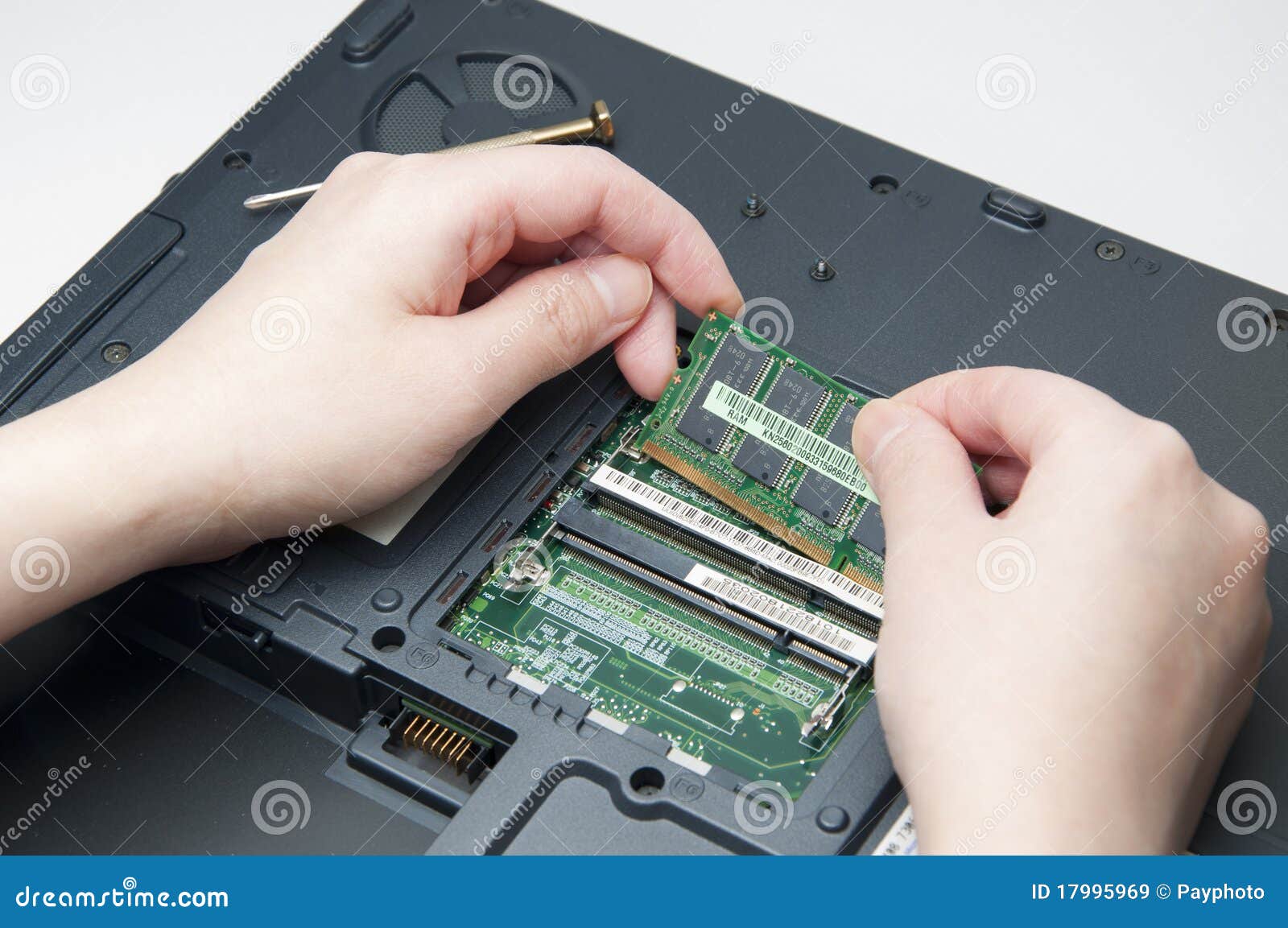 Installing new ram stock image. Image of enter, green - 17995969