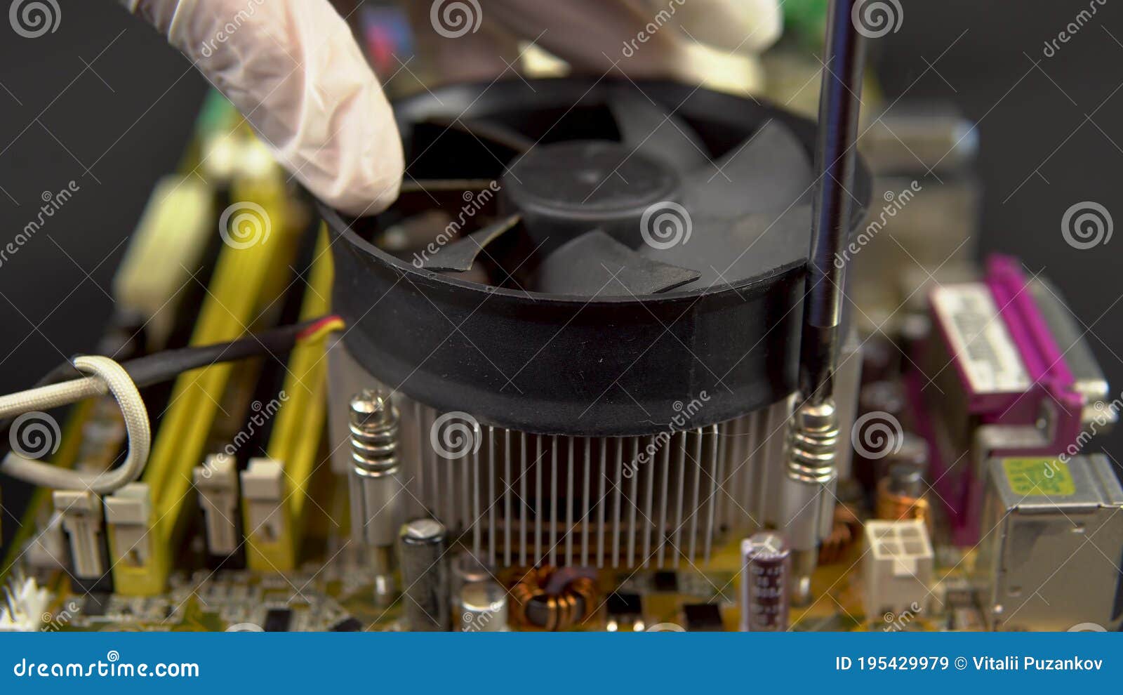 Installing a Processor Cooler on the Motherboard. CPU Cooling System on ...