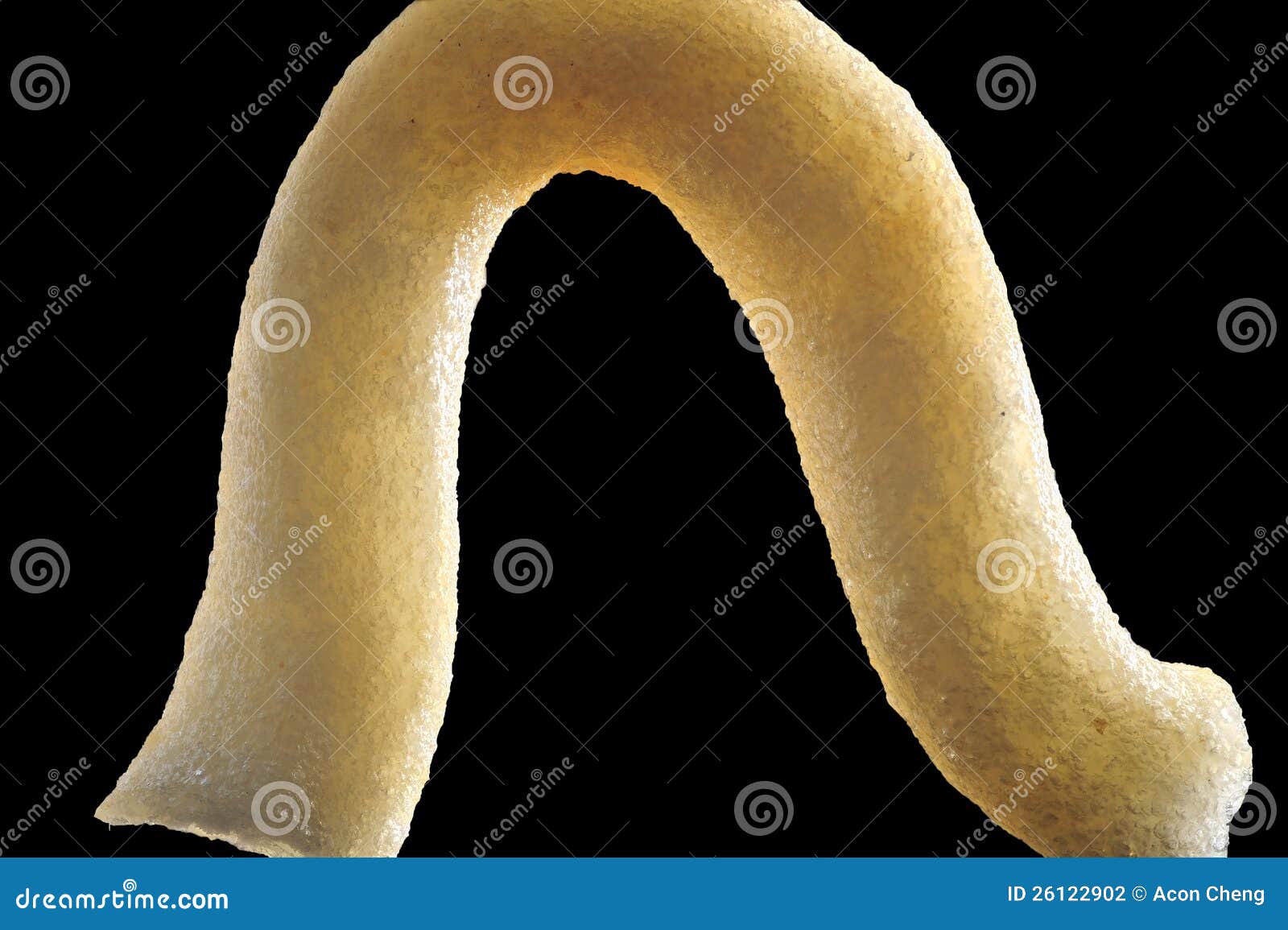 Instant Noodle Fragment Close-up Stock Photo - Image of close, noodle ...