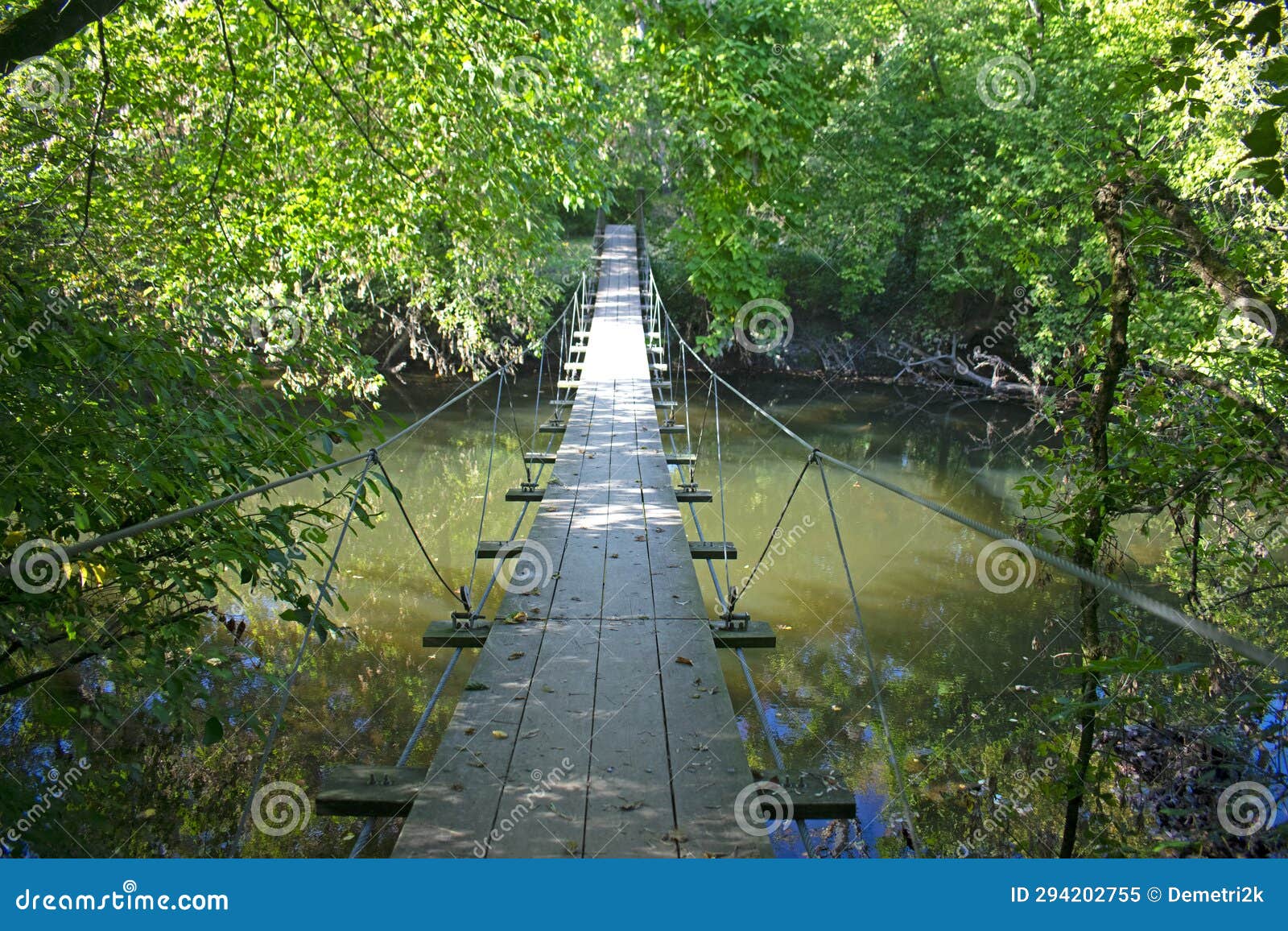 Institute Woods Swinging Bridge -05 Stock Image - Image of green ...