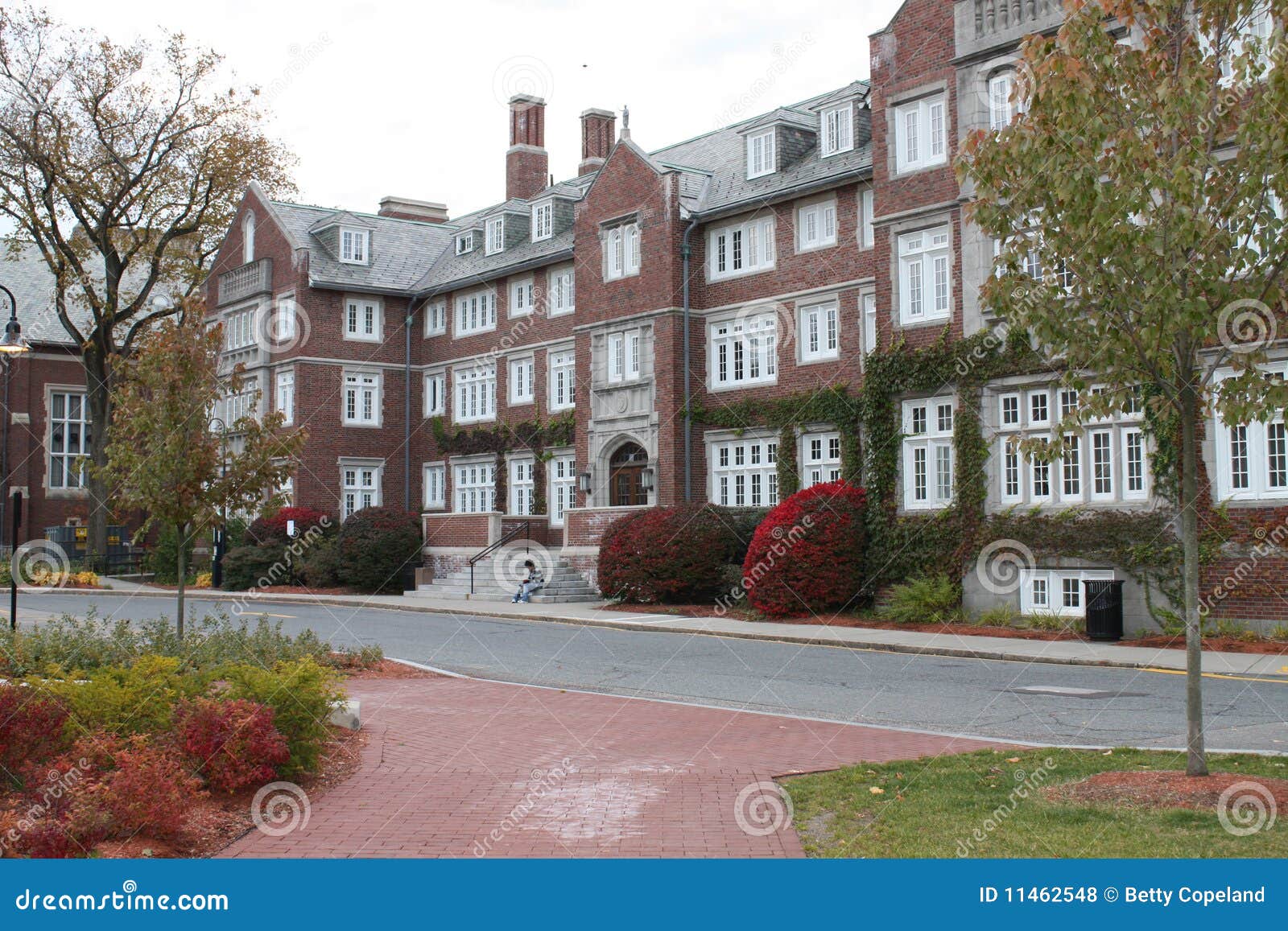 Institution building stock photo. Image of academic, exterior - 11462548