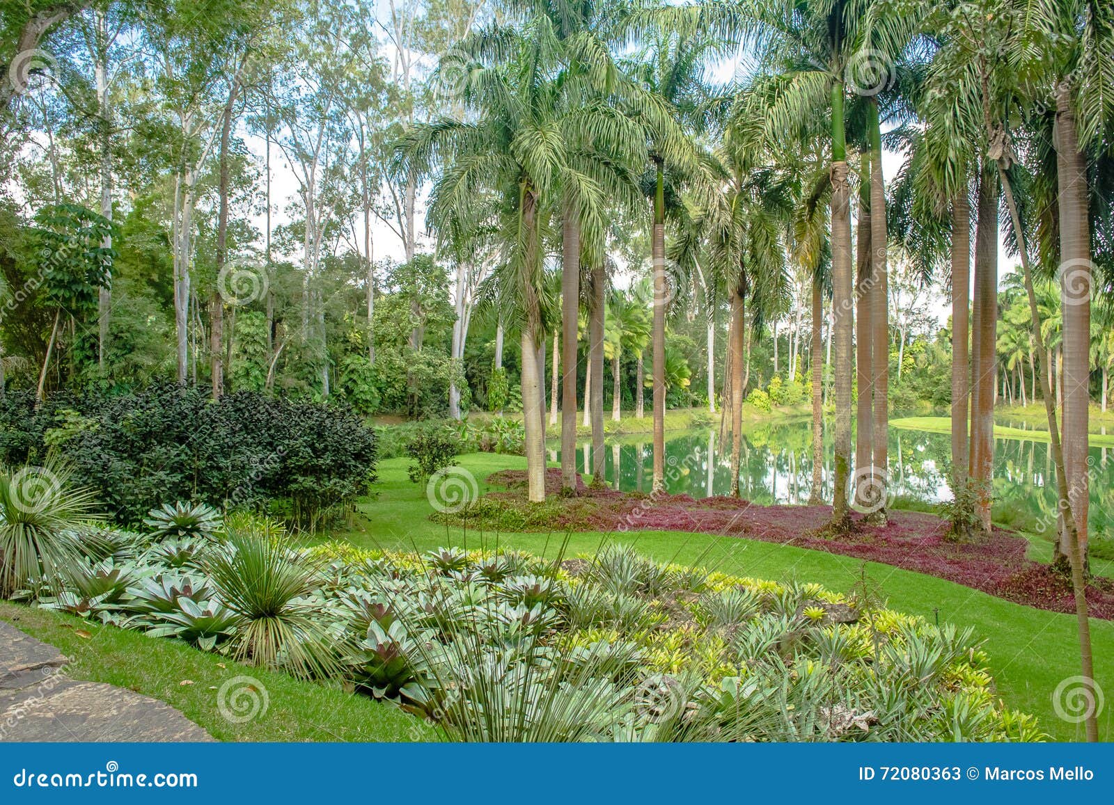 Instituto Inhotim - Brumadinho - Minas Gerais Imagem de Stock - Imagem ...