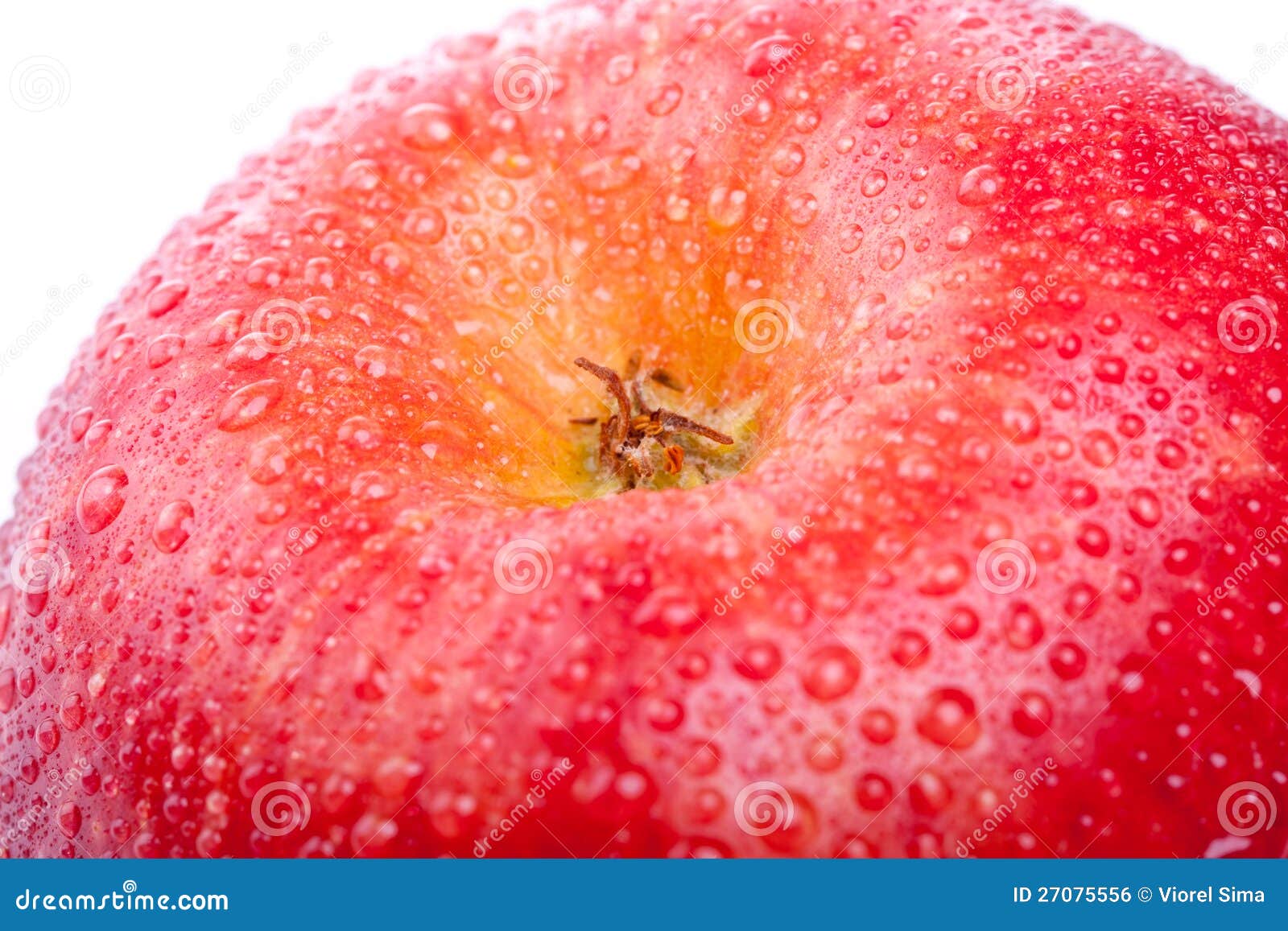 Instruction-macro Sur La Pomme Rouge Photo stock - Image du parfait ...