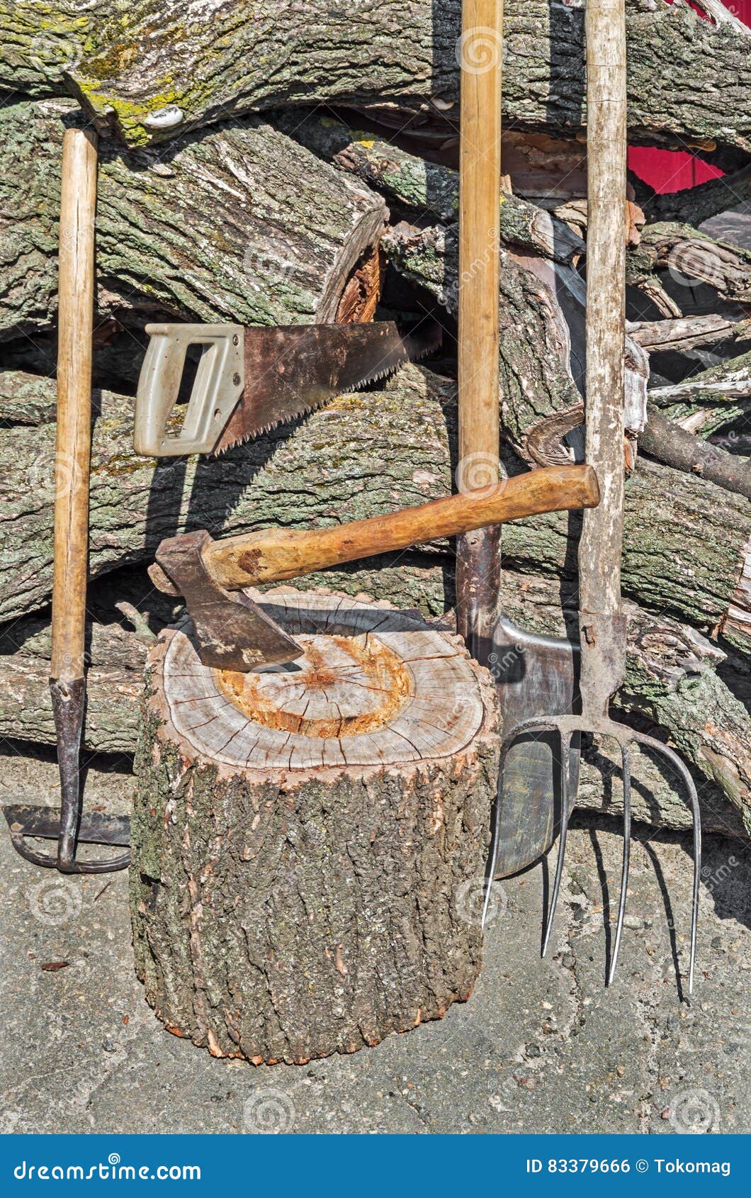 Instrumente Agricole